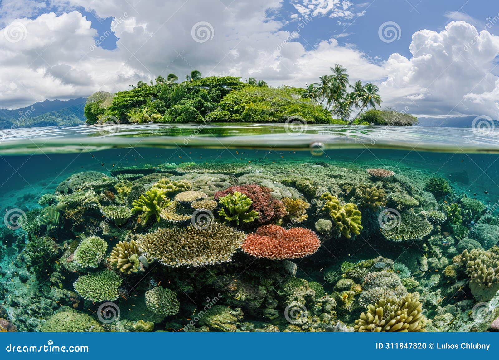Tropical Island and Coral Reef. Split View with Waterline Stock ...
