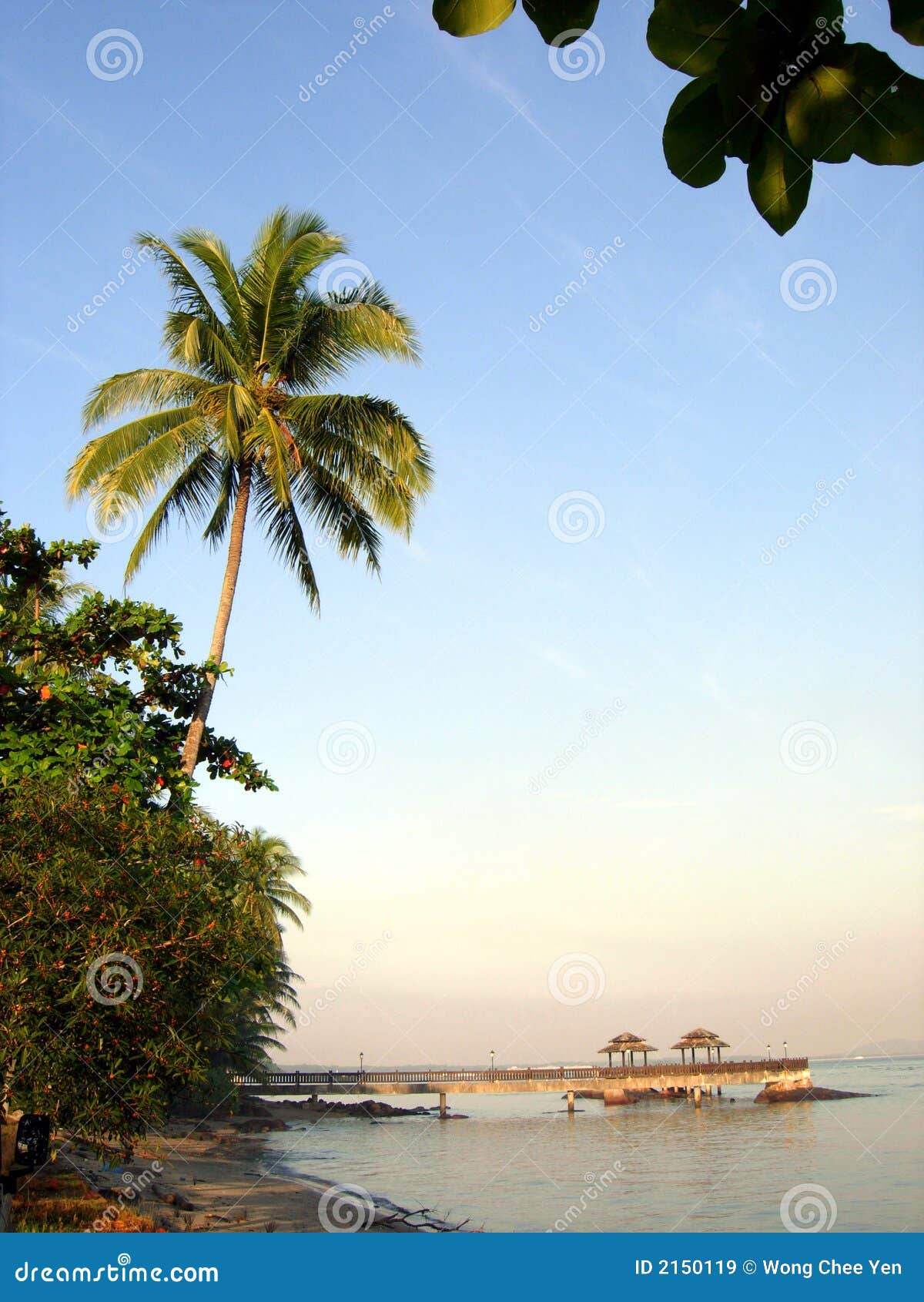 Tropical island life stock image. Image of lonely, exclusive - 2150119