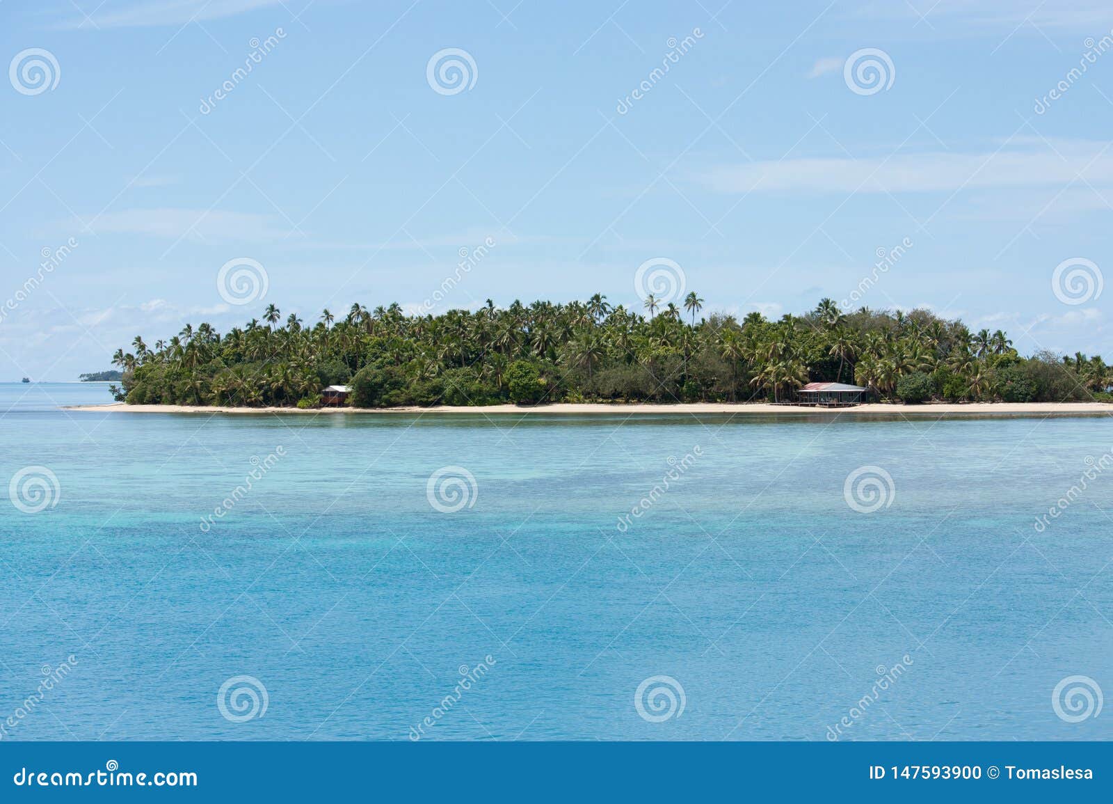 Tropical Island with Palm Trees and Huts in Tonga Stock Photo - Image ...