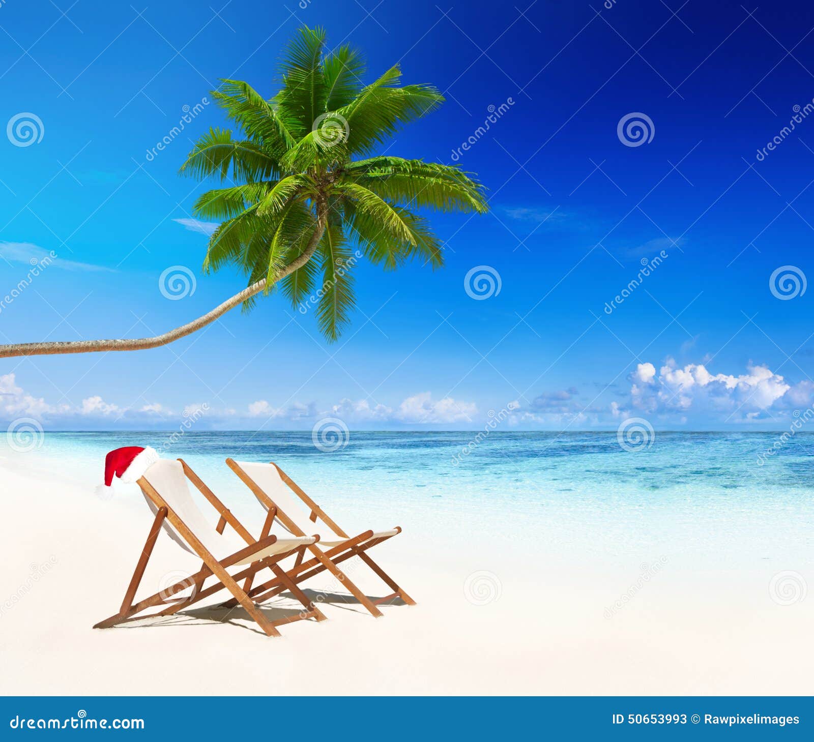 Tropical Island Summer Beach Coconut Concept Stock Image - Image of ...