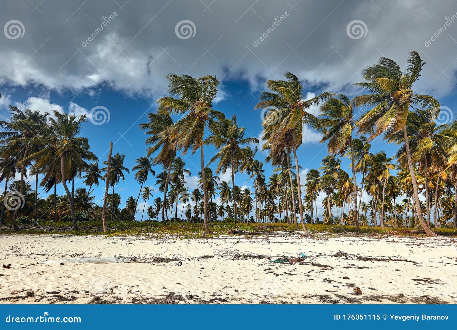 Tropical Island. View of the Beach Stock Image - Image of palm, island ...