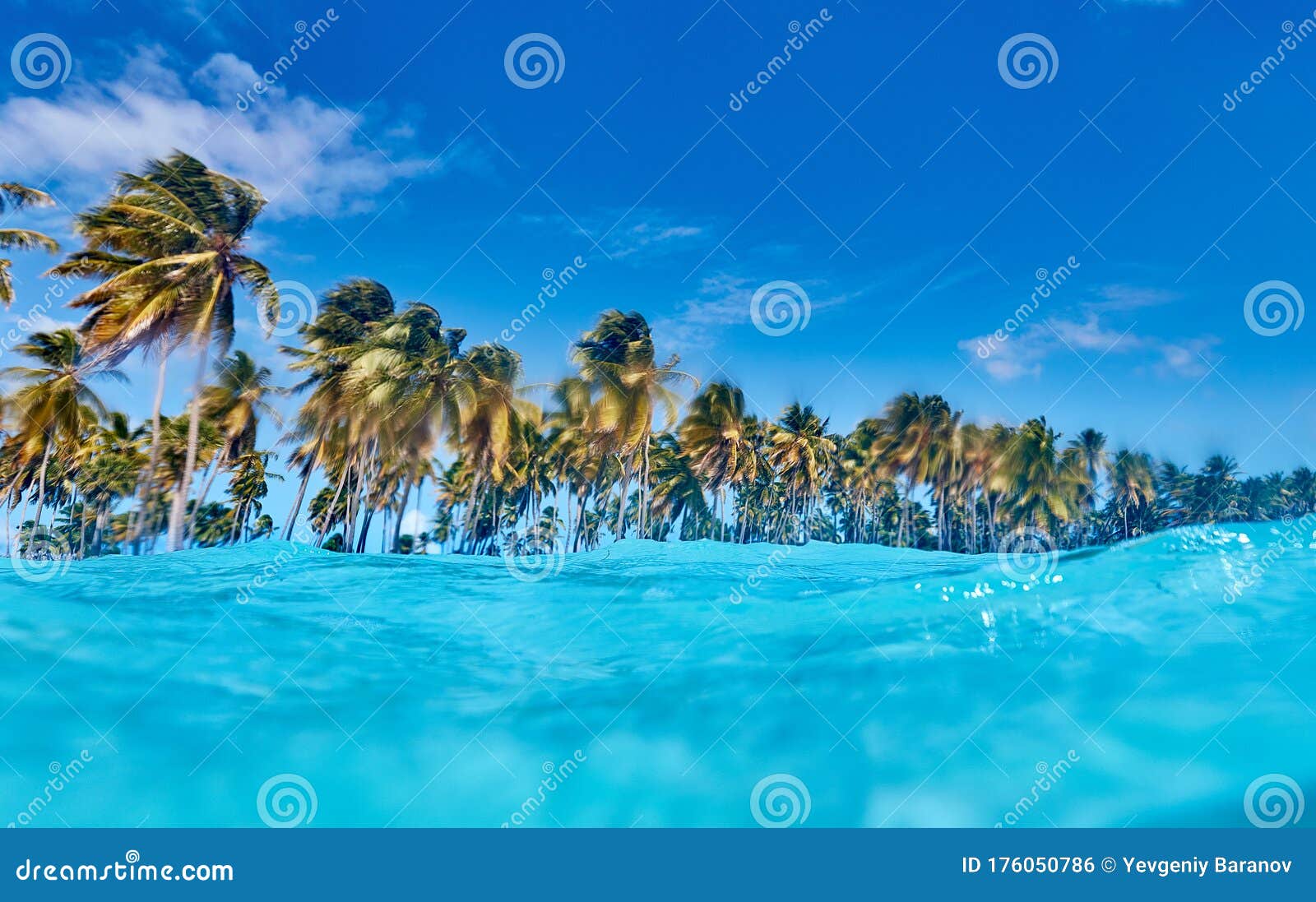 Tropical Island. View of the Beach from the Water Stock Photo - Image ...