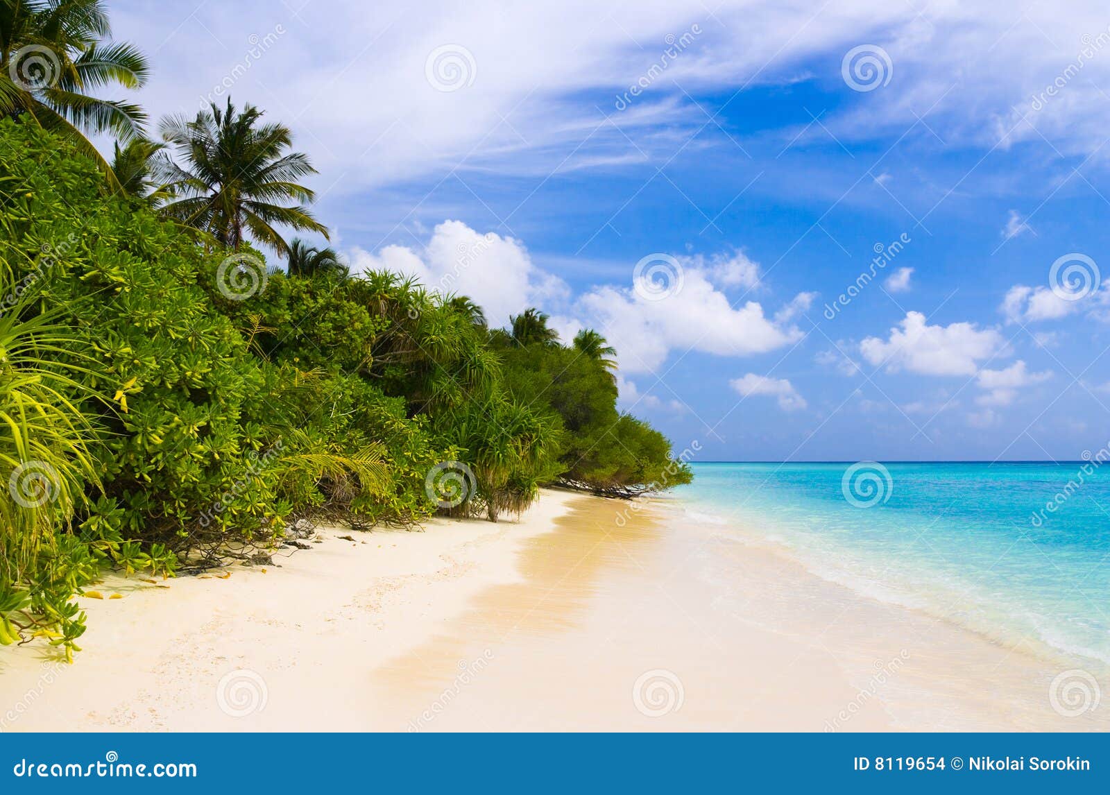 Tropical Jungle And Beach Stock Images - Image: 8119654