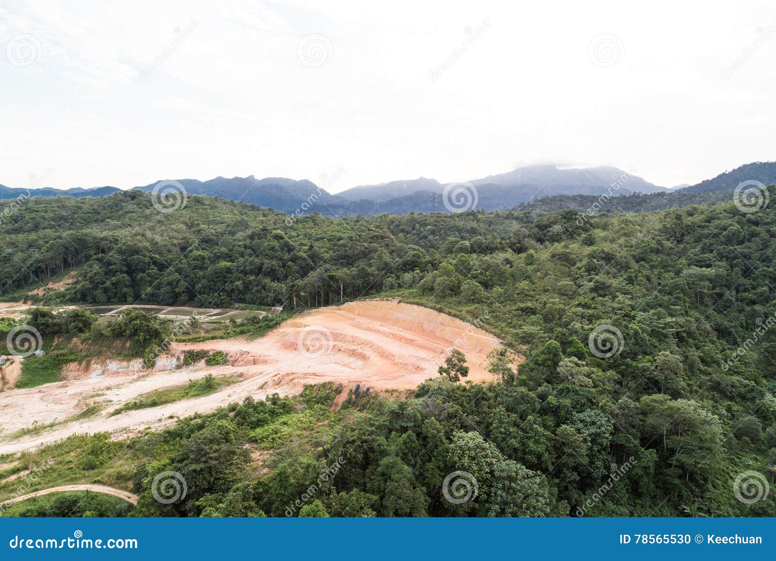 Tropical Jungle Clearing for Development Stock Photo - Image of ...