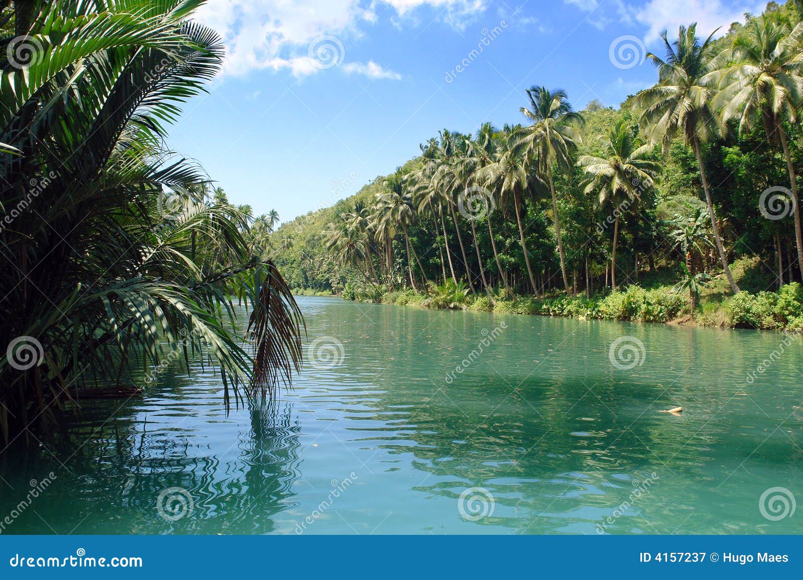 Tropical Jungle River stock image. Image of global, exotic - 4157237