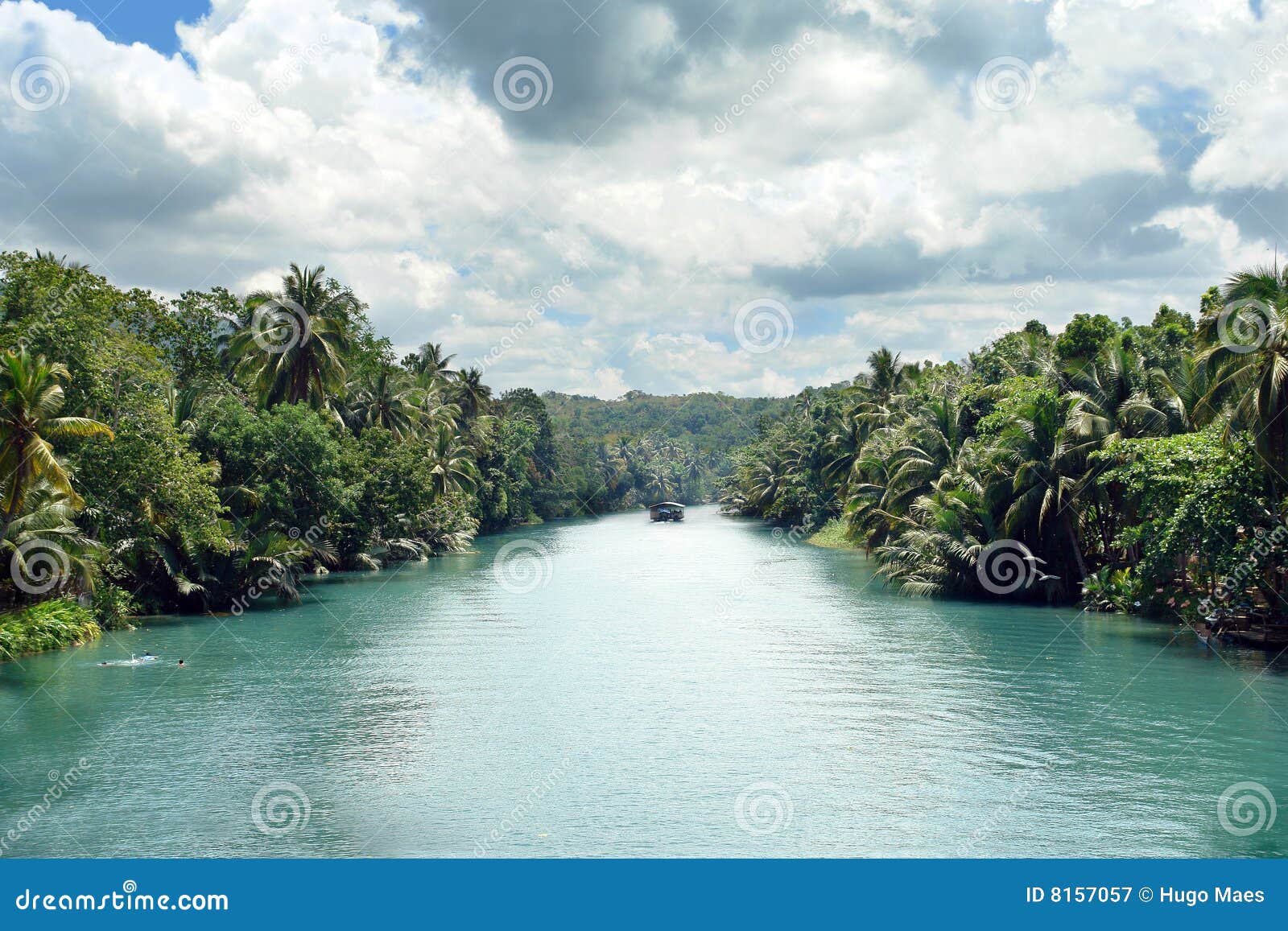 Tropical Jungle River stock image. Image of famous, palm - 8157057