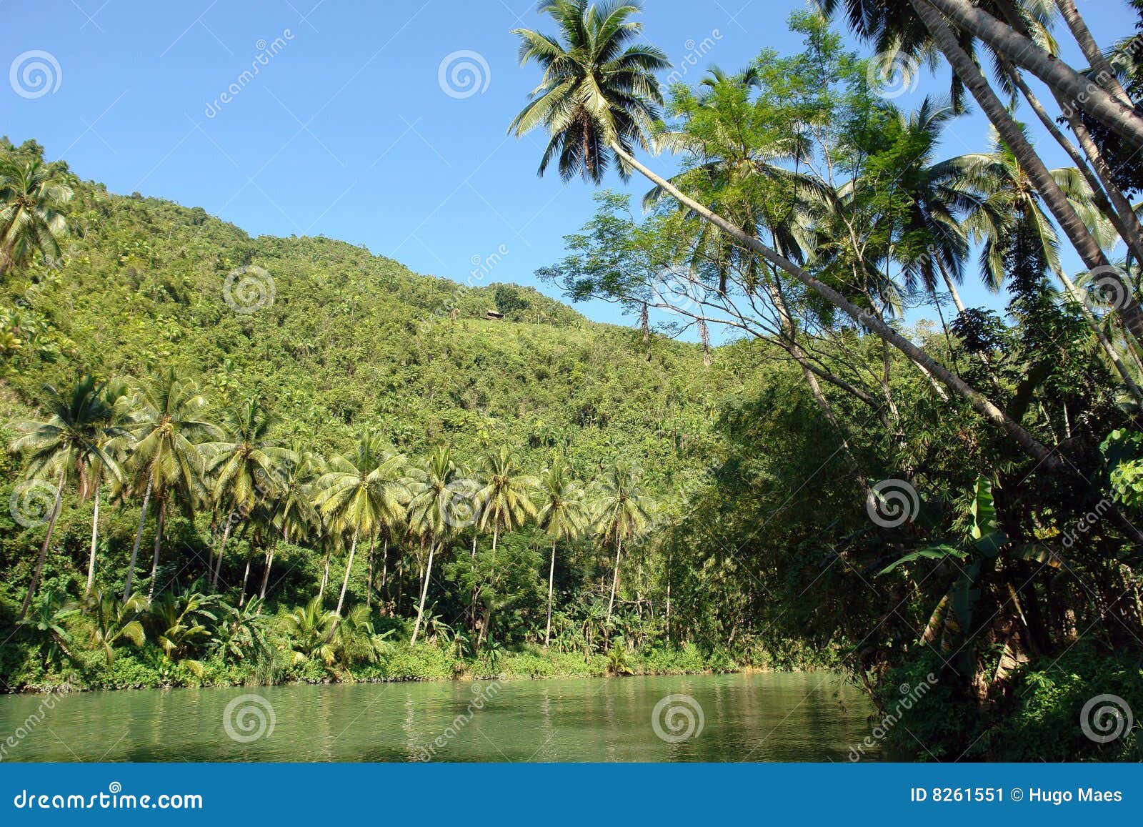 Tropical jungle river stock image. Image of hideaway, exotic - 8261551