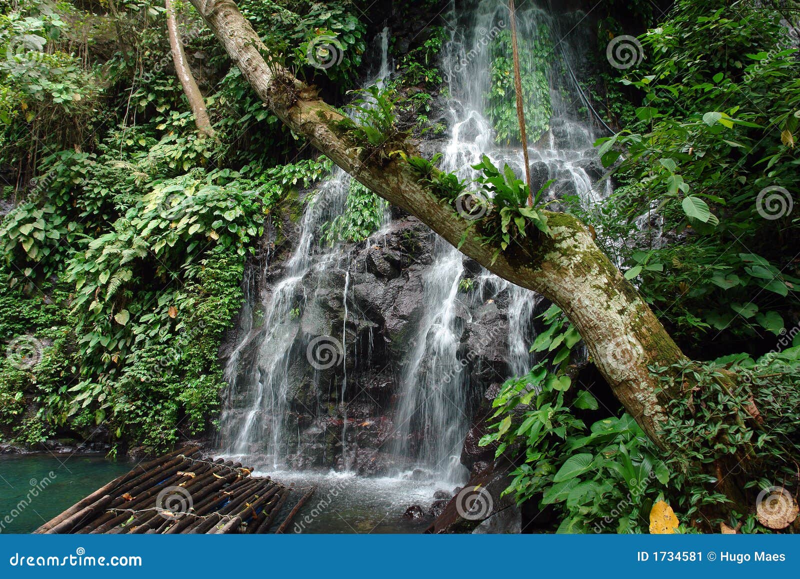 Tropical Jungle with Tree, Raft and Waterfall Stock Image - Image of ...