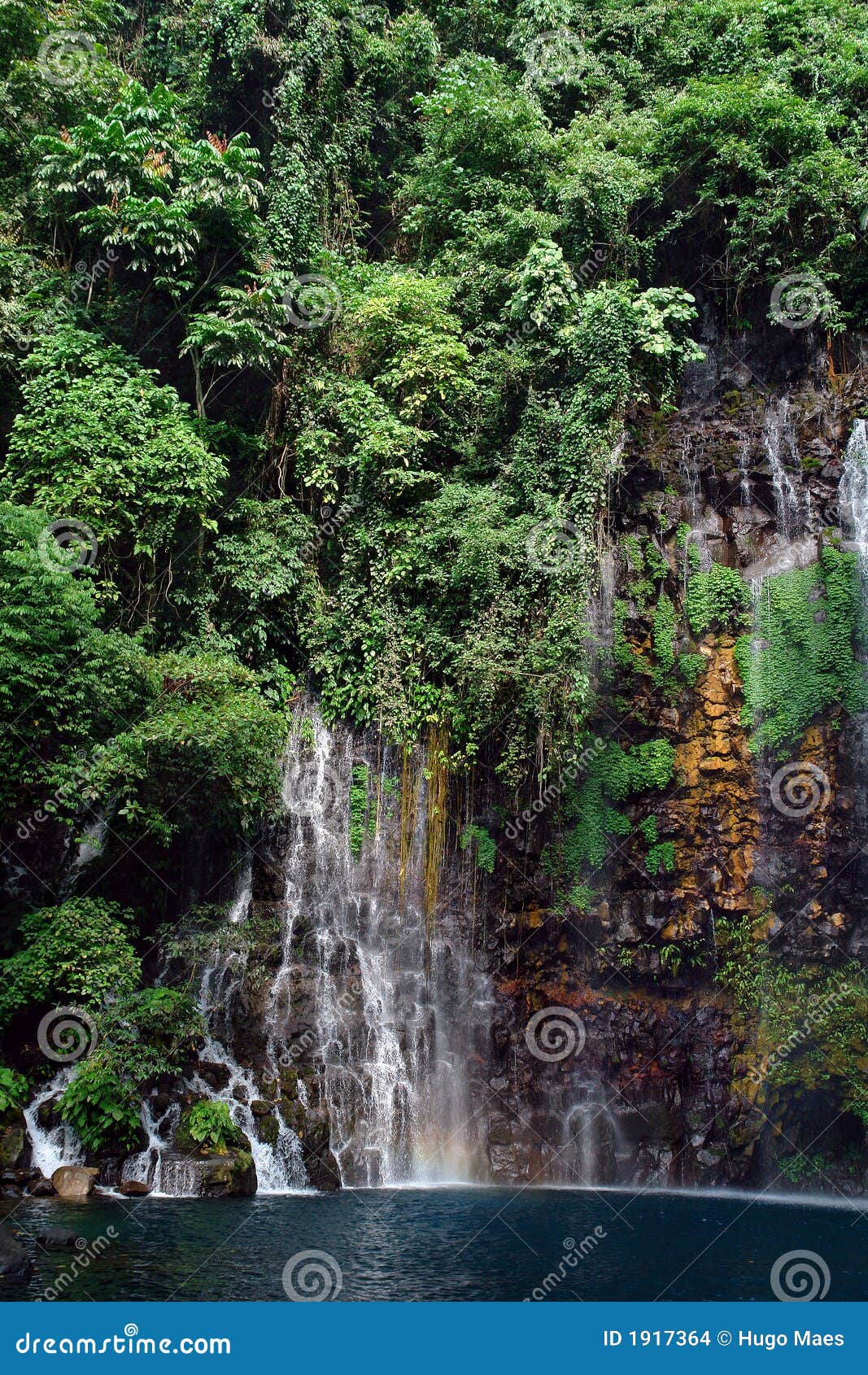 Tropical Jungle and Waterfall. Stock Photo - Image of leisure, scenery ...