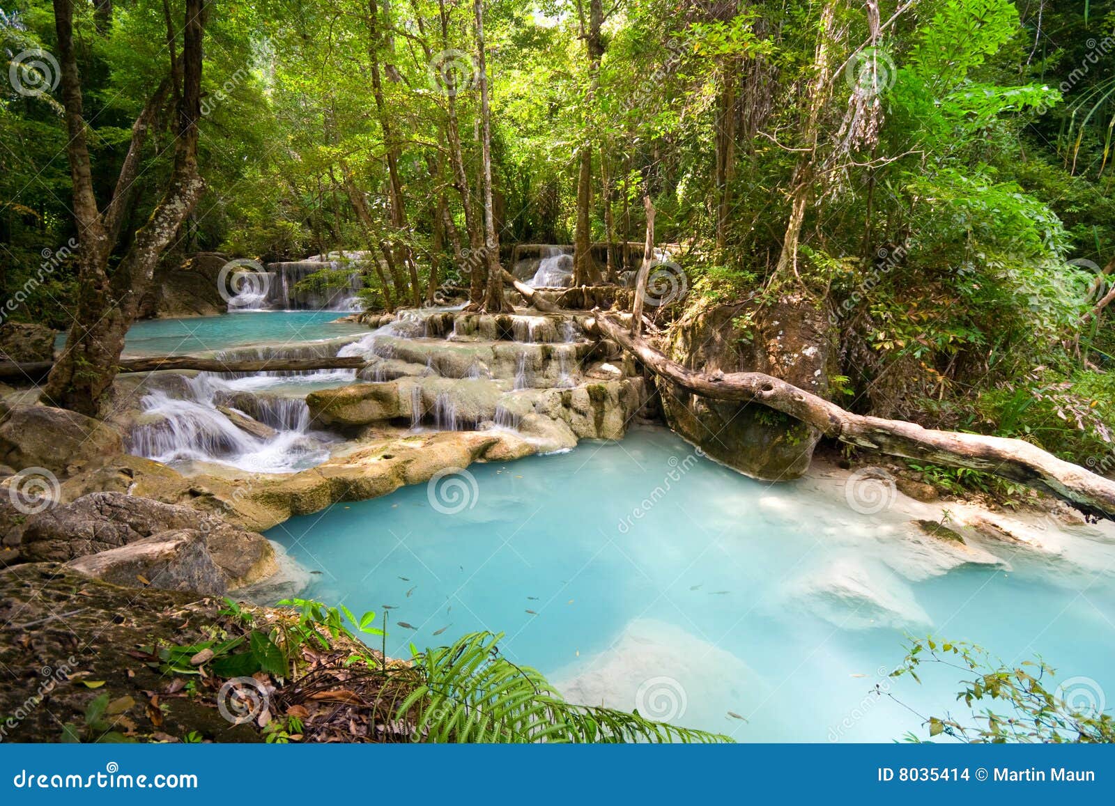 Tropical Jungle Waterfalls stock photo. Image of jungle - 8035414