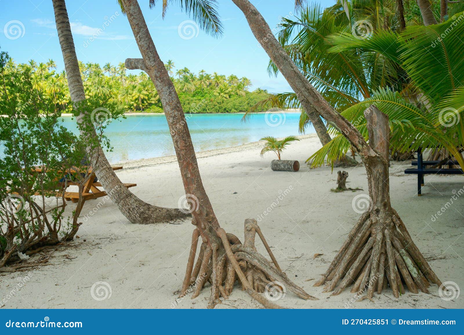 Tropical Lagoon Beach with Aerial Root Pandanus Tree Stock Image ...