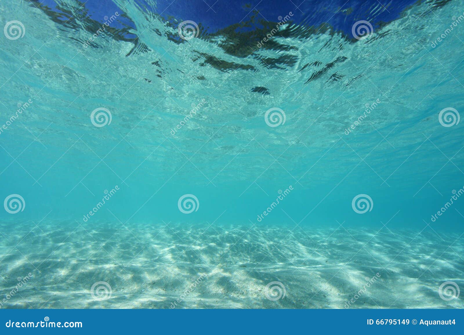 Tropical lagoon stock image. Image of snorkeling, beach - 66795149