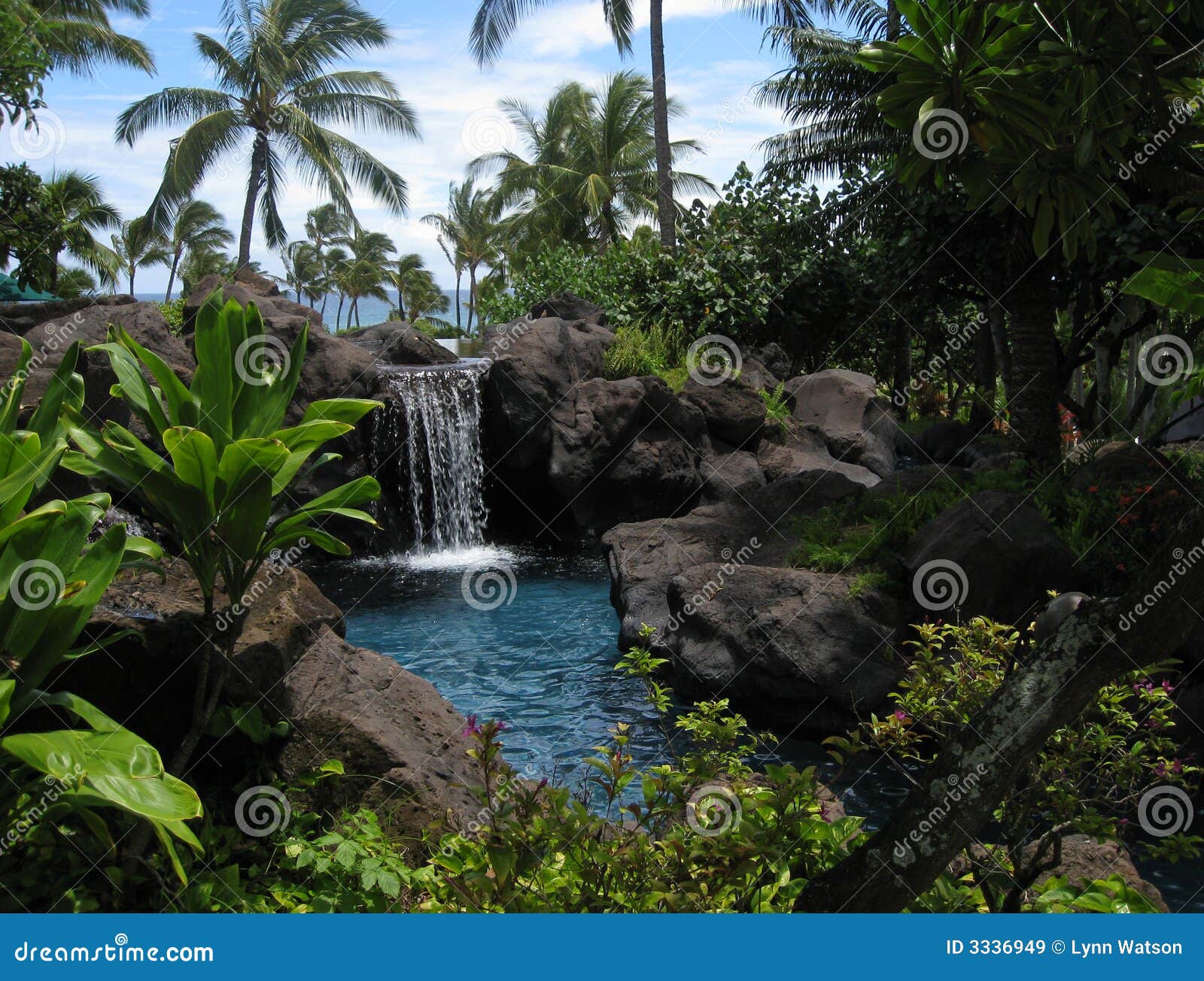 Tropical Lagoon And Waterfall Stock Image - Image: 3336949