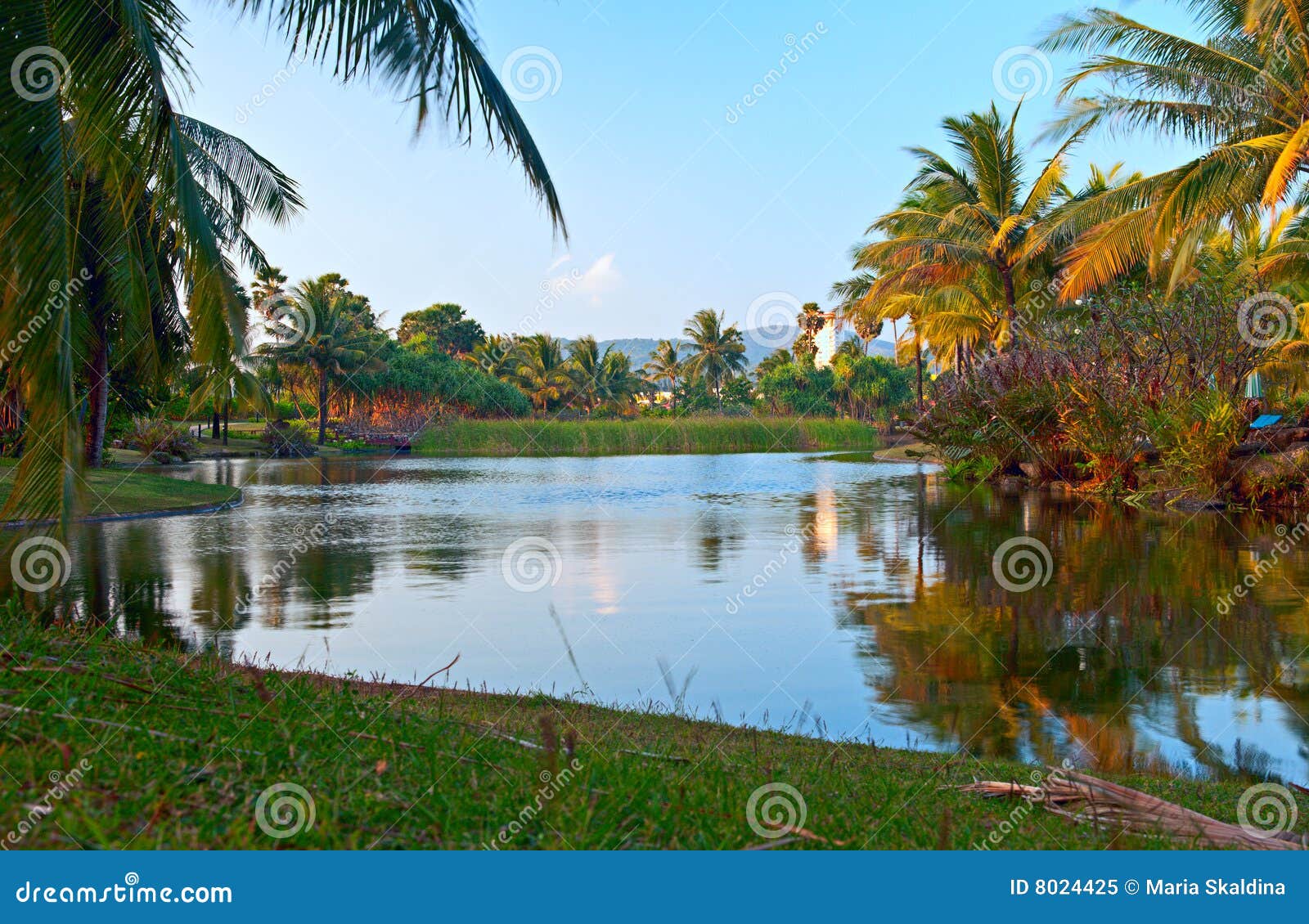 Tropical lake stock image. Image of landscape, exoticism - 8024425
