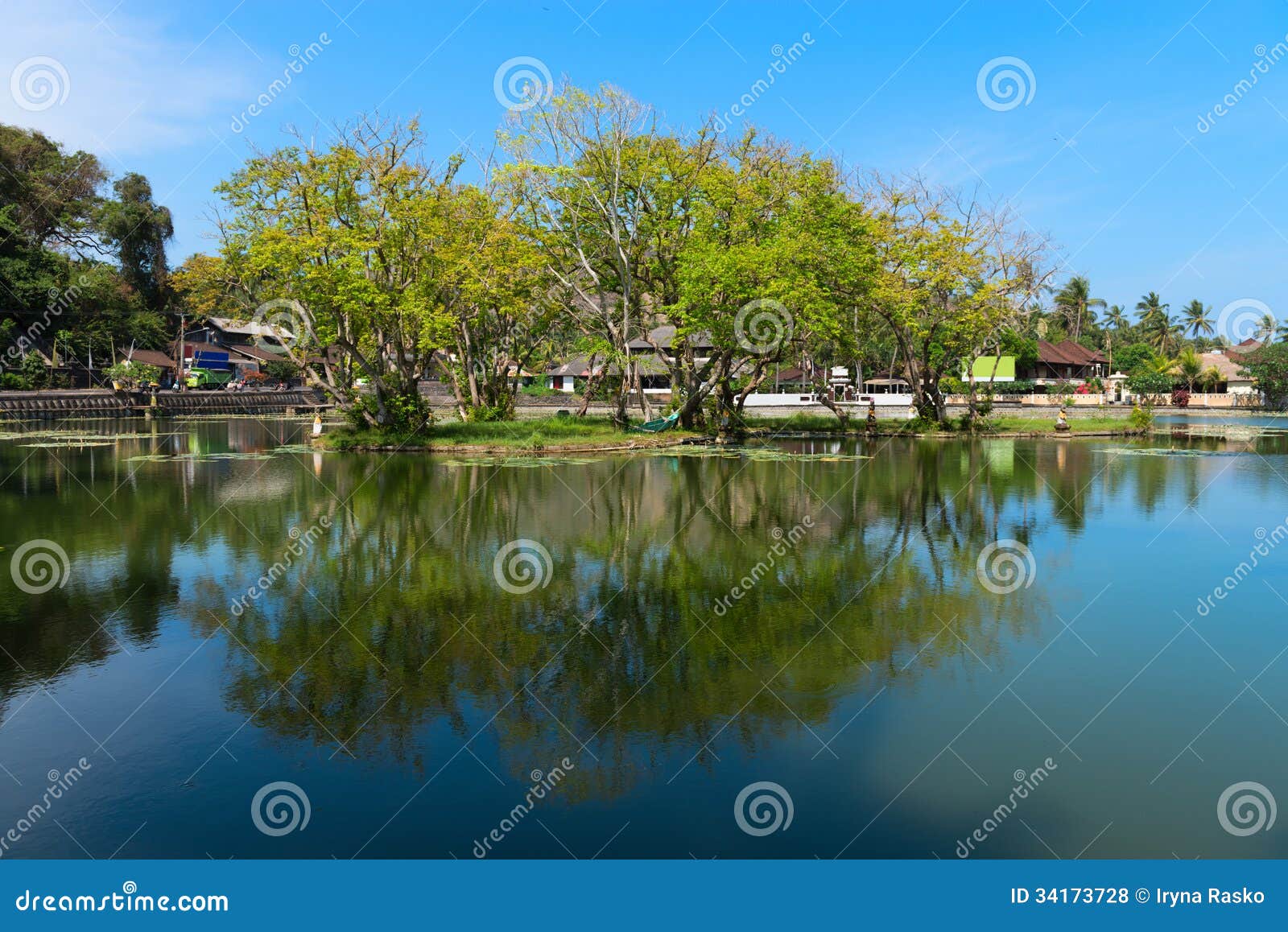 Tropical Lake with Big Green Tree Stock Photo - Image of homes, nature ...