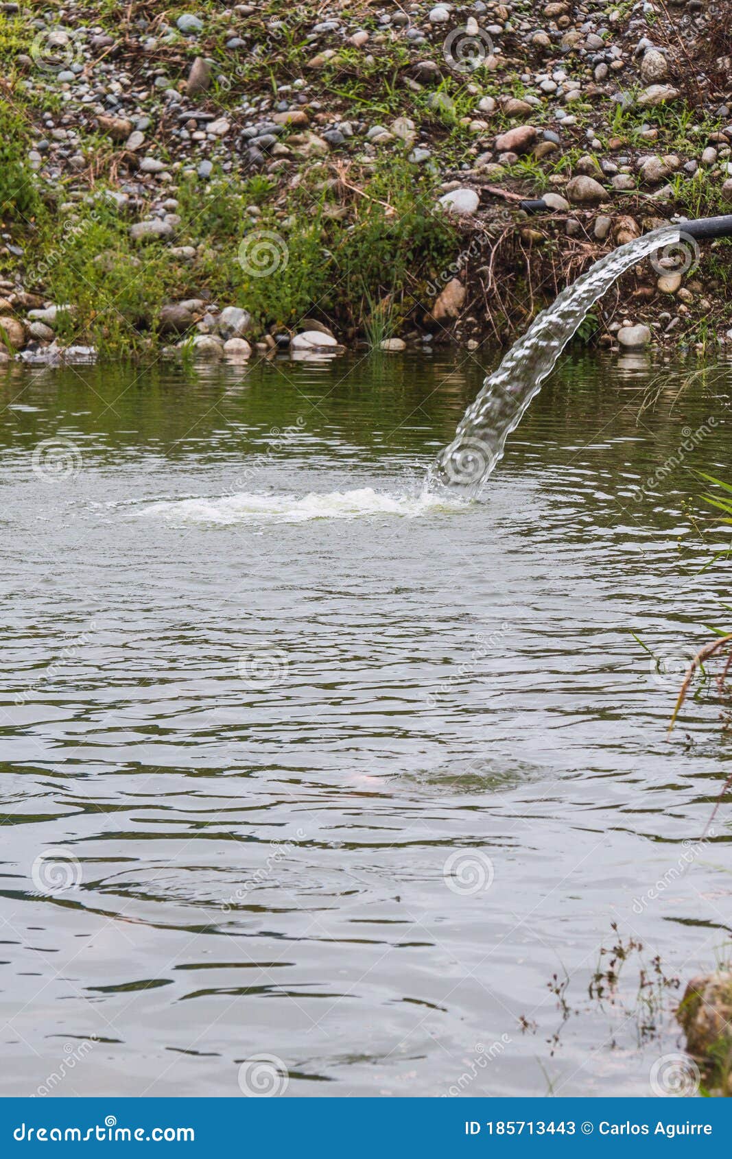 Tropical Landscape, Amazon, Riverside, Tilapia Pools Stock Image ...