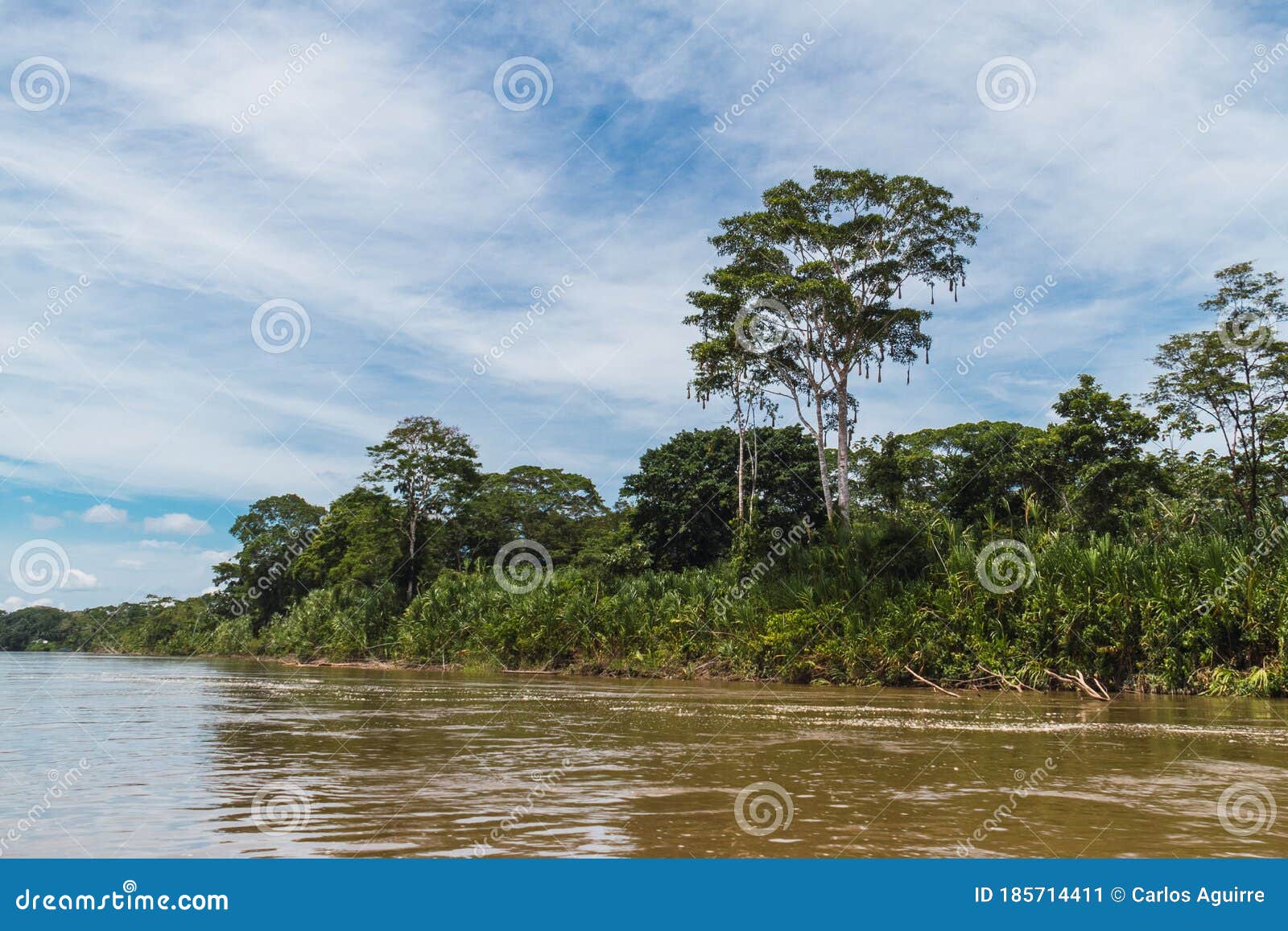 Tropical Landscape, Amazon, Riverside, Tilapia Pools Stock Image ...