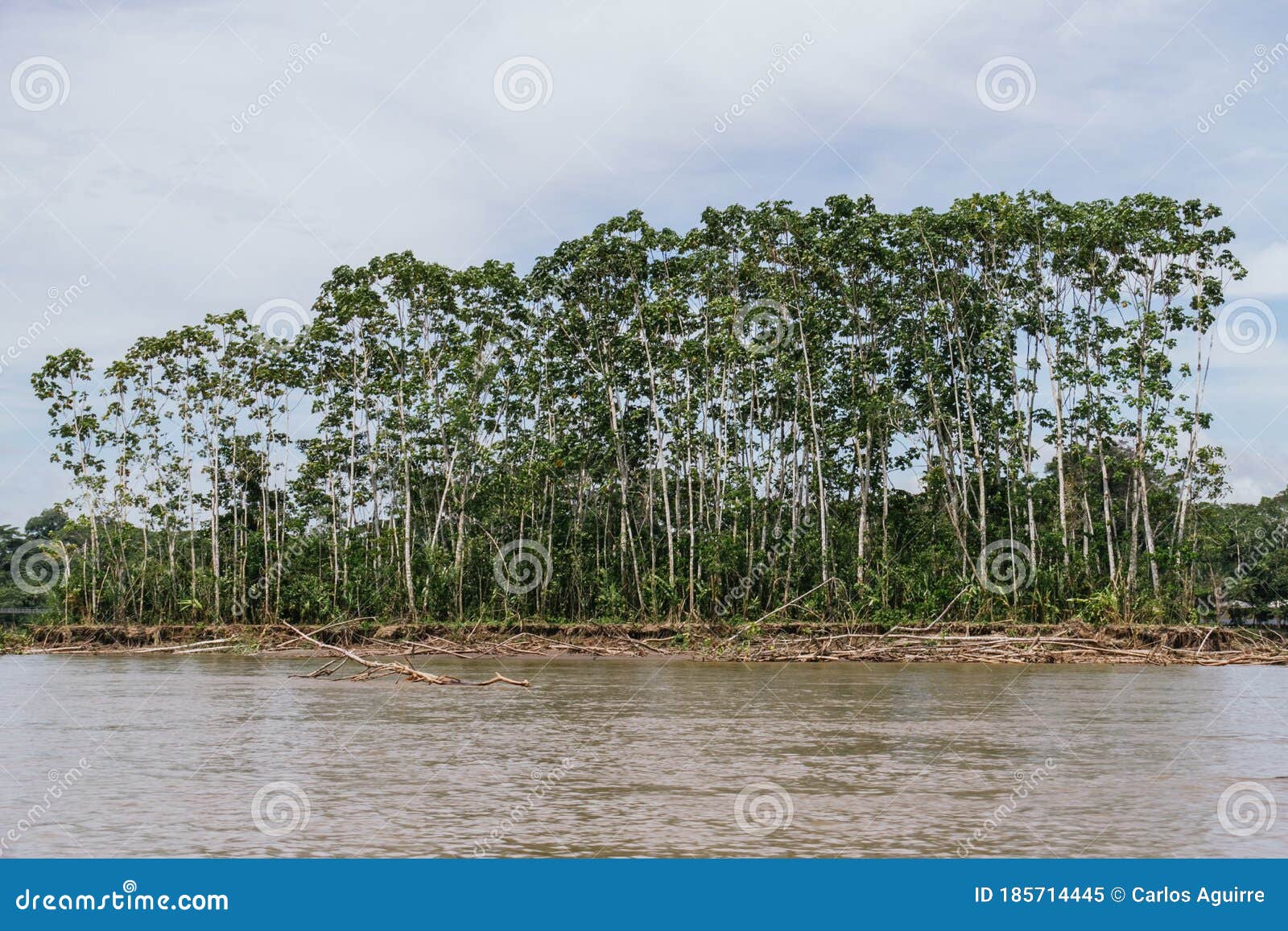 Tropical Landscape, Amazon, Riverside, Tilapia Pools Stock Image ...