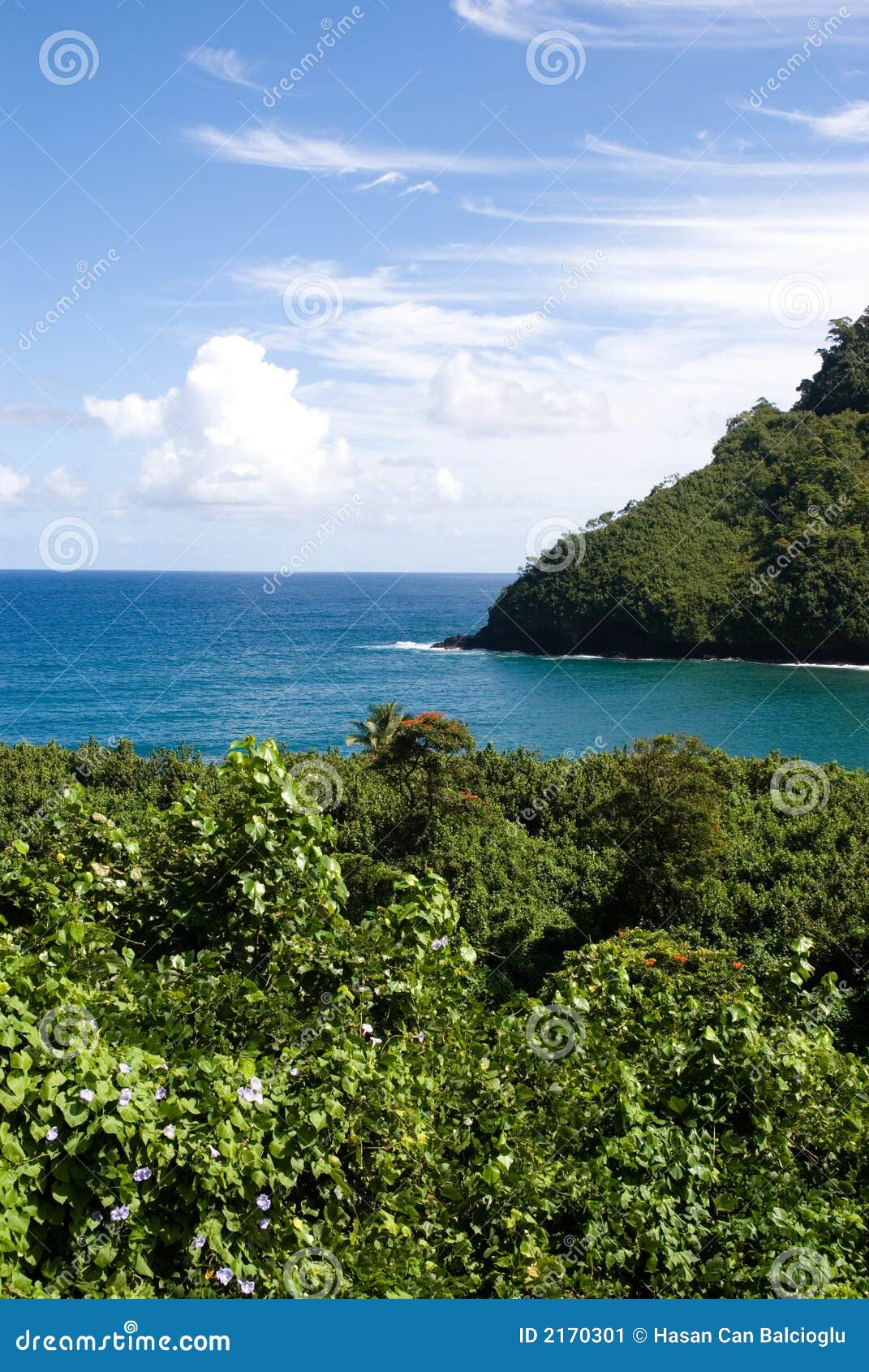 Tropical Landscape (Maui, Hawa Stock Image - Image of lush, greenery ...