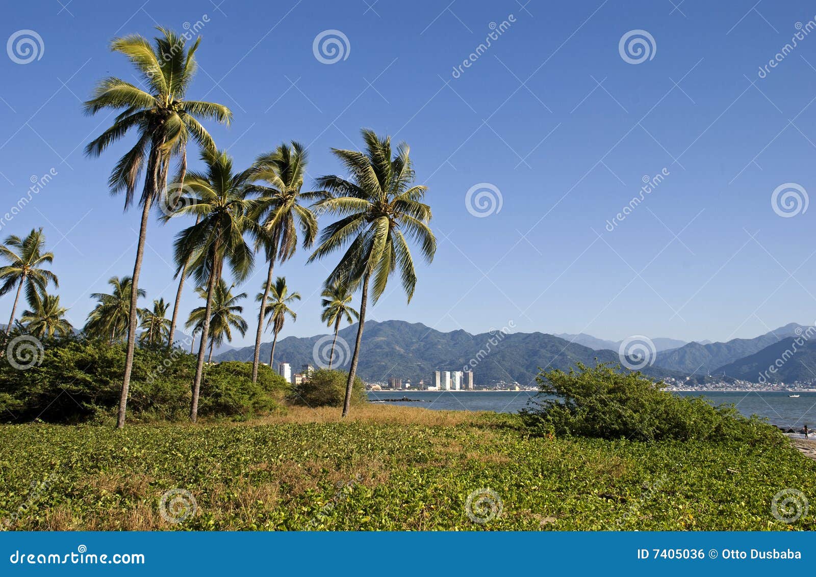 Tropical Landscape on the Pacific Coast Stock Photo - Image of sierra ...