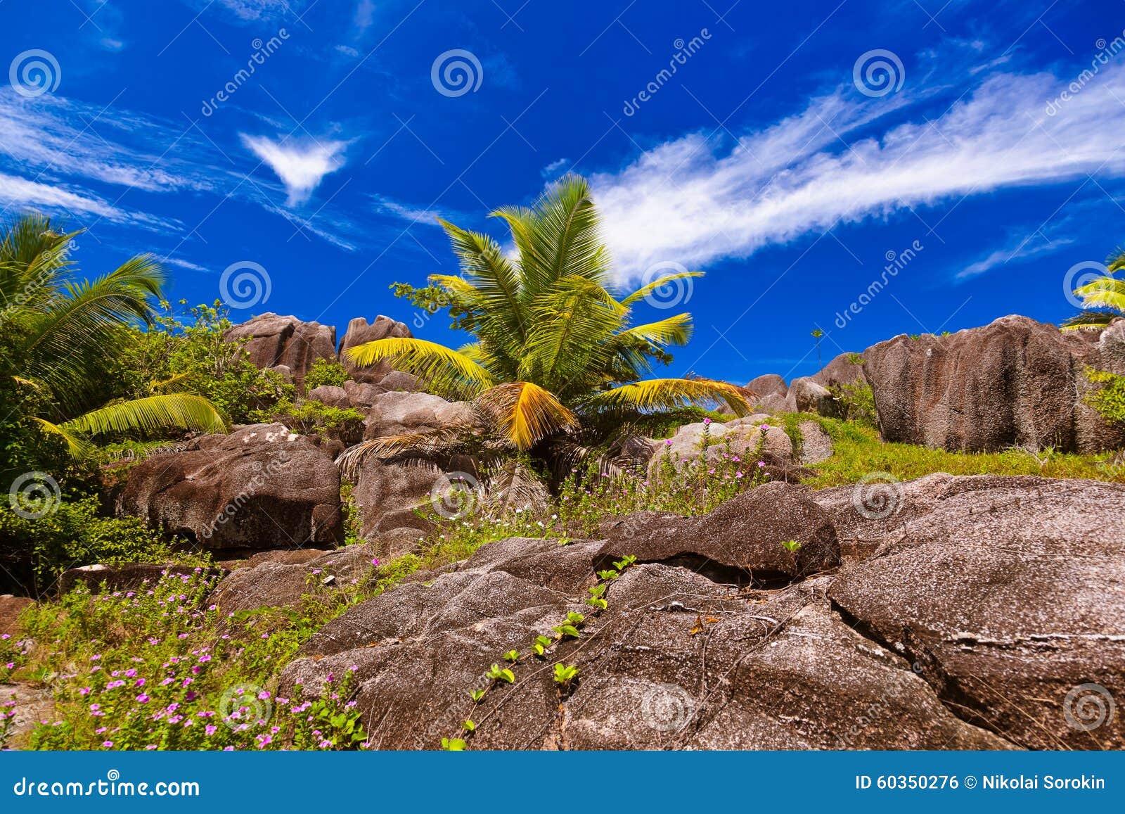Tropical Landscape at Seychelles Stock Photo - Image of relaxation ...