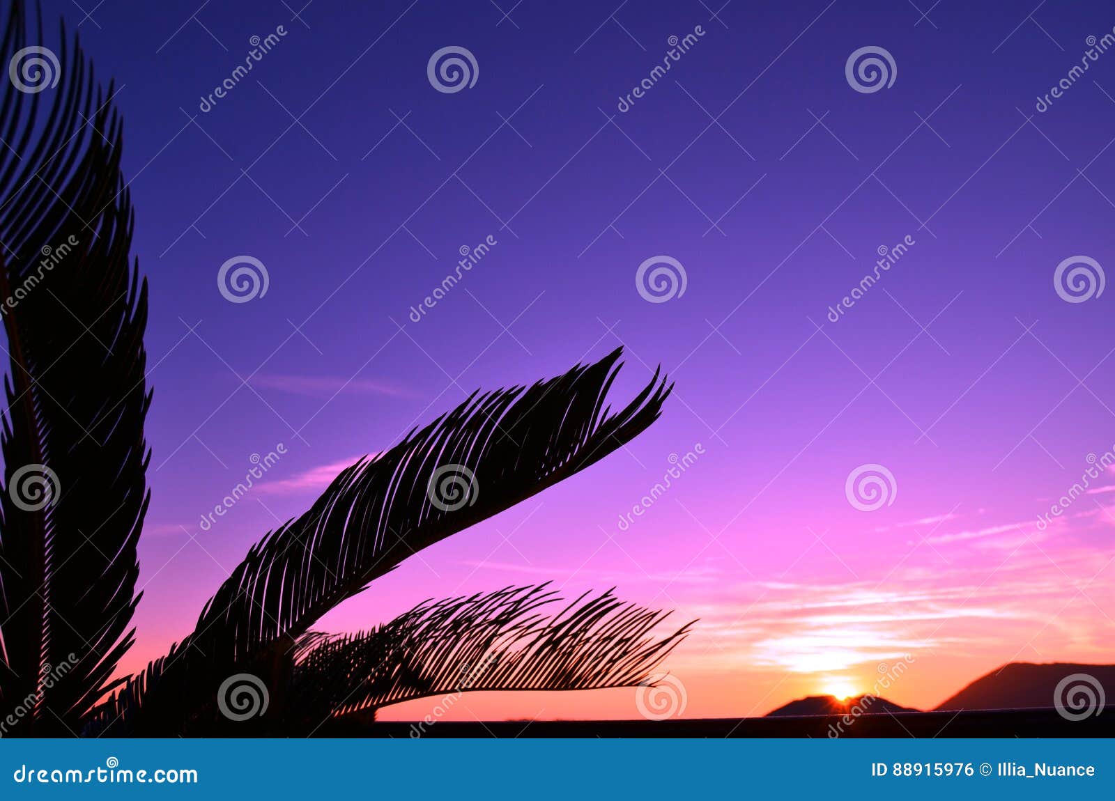 Tropical Landscape at Sunset at Italy Stock Photo - Image of vacation ...