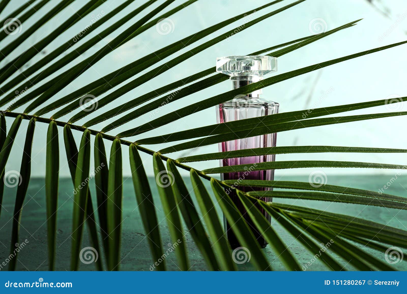 Tropical Leaf and Bottle with Perfume on Color Table Stock Image ...