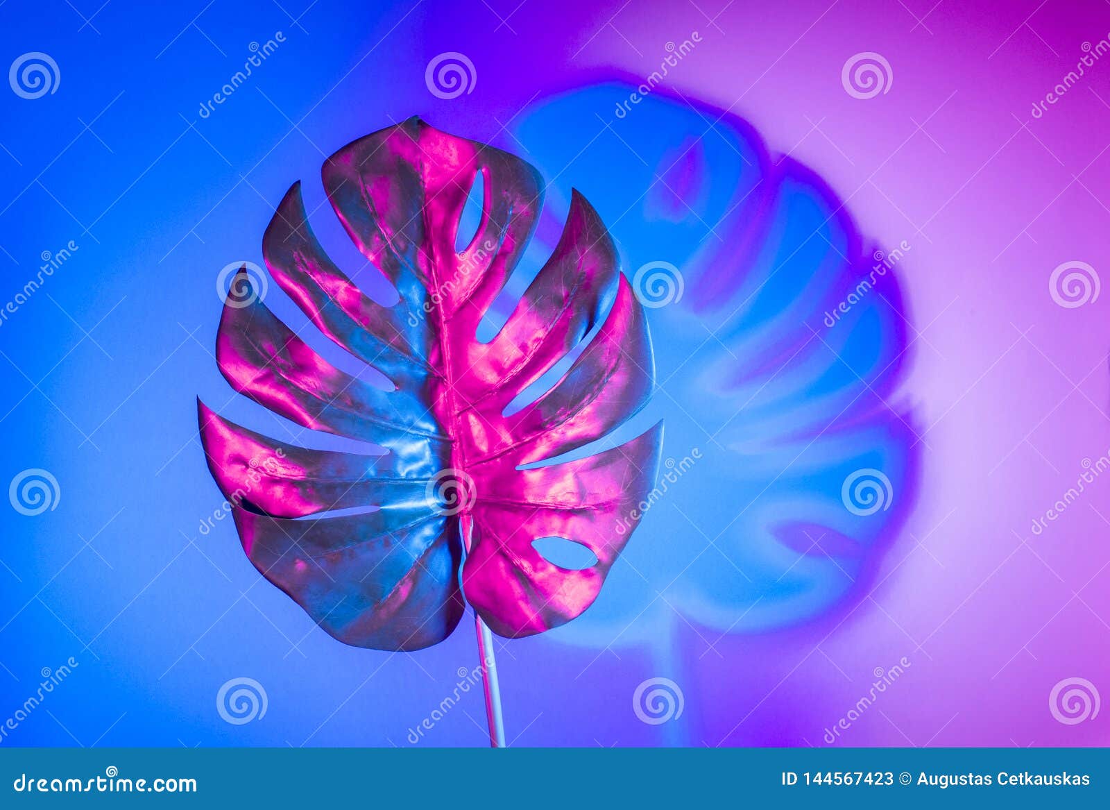 Tropical Leaf with Neon Light. Holographic Leaves Stock Image - Image ...