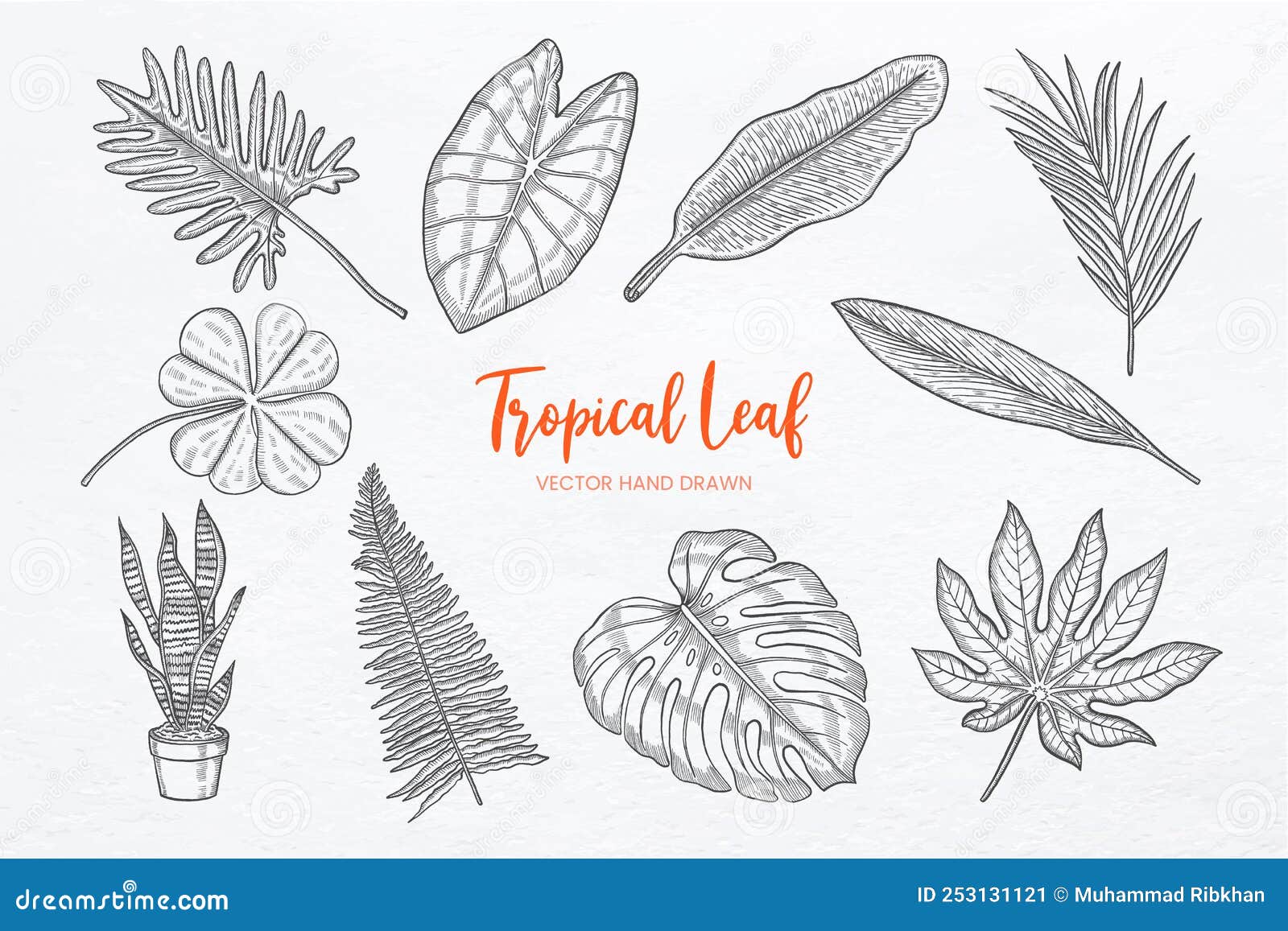 Tropical Leaf Set Collection with Hand Drawn Sketch Vector Stock ...