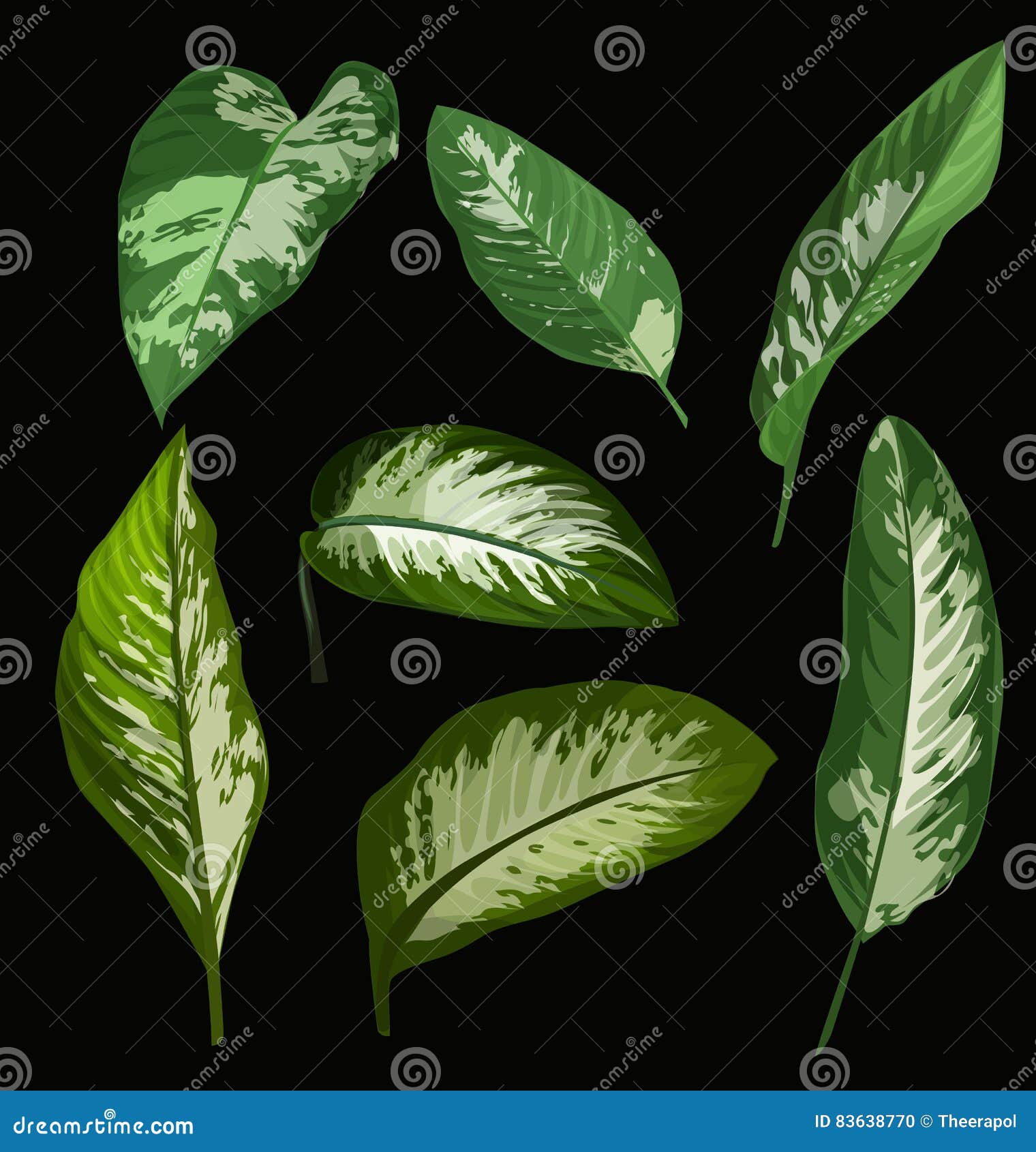 Tropical leaf set stock illustration. Illustration of collection - 83638770