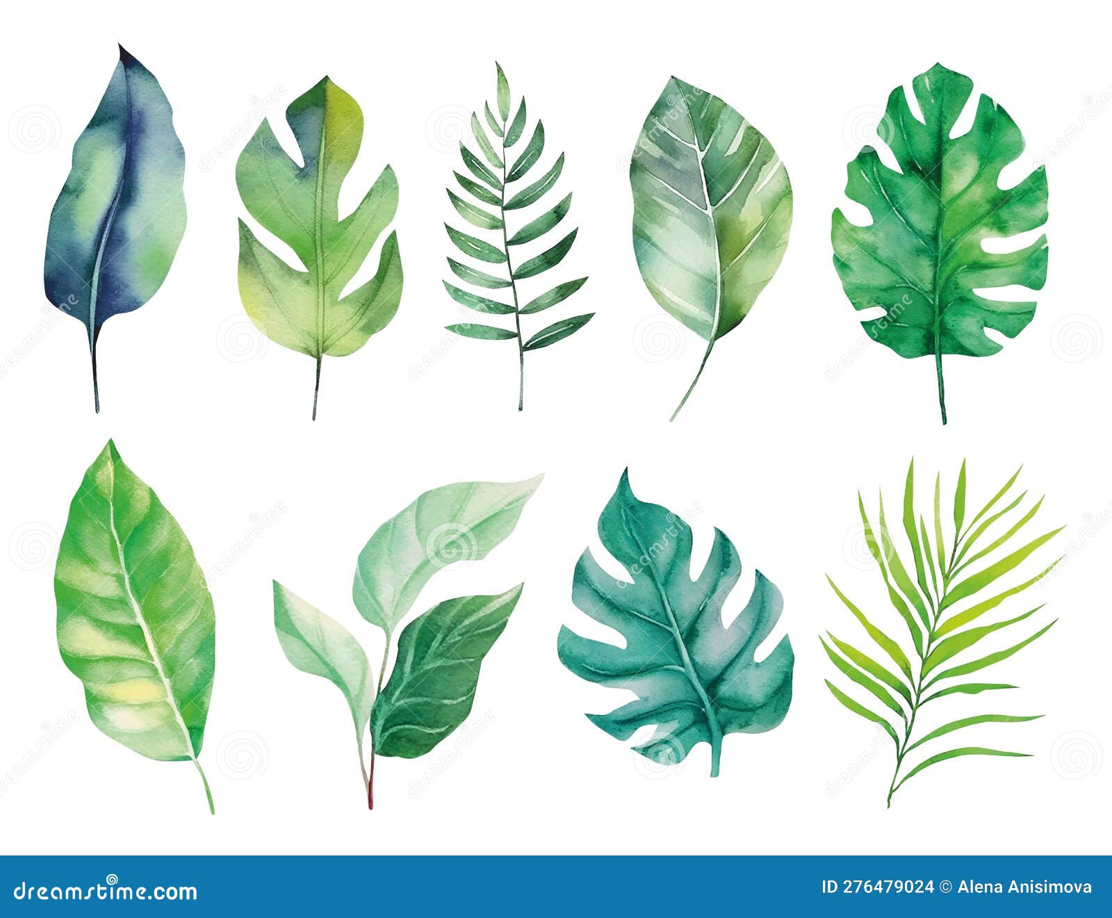 Tropical Leaf Set. Vector Illustration Watercolor Stock Photo - Image ...