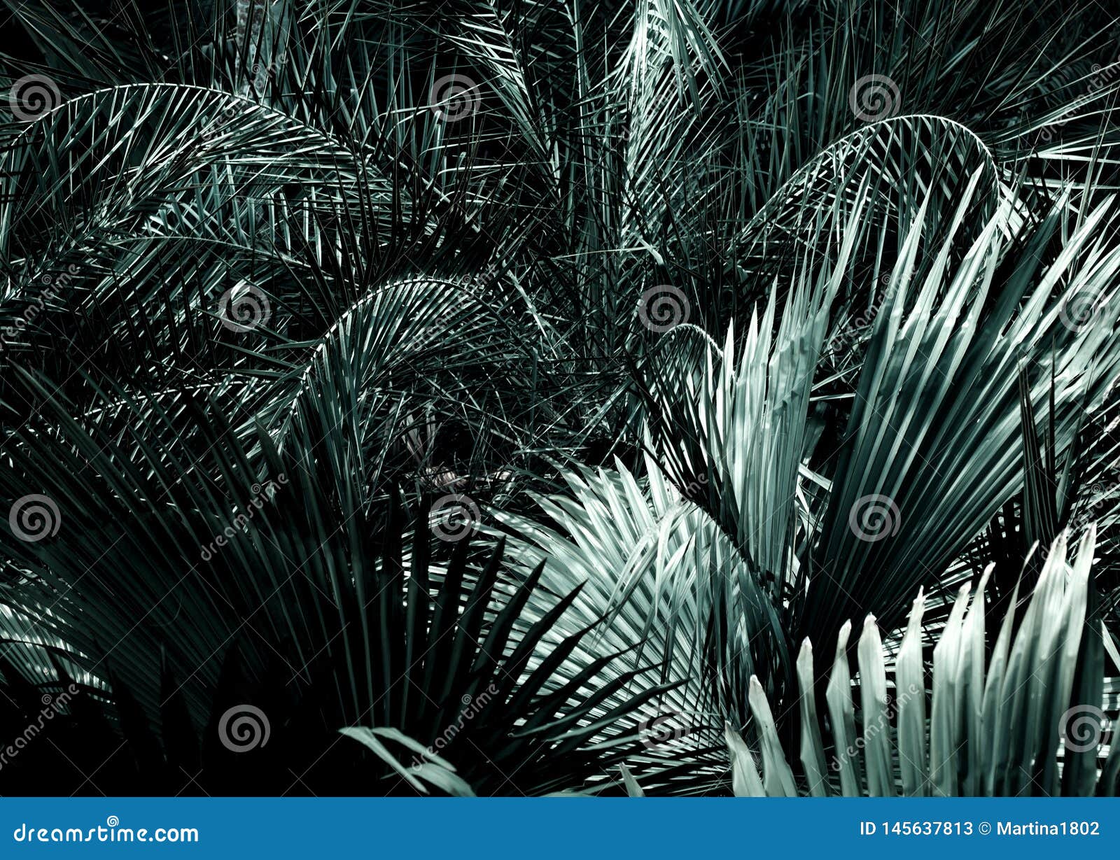 Tropical Leaf Texture Background Stock Image - Image of botanical, leaf ...