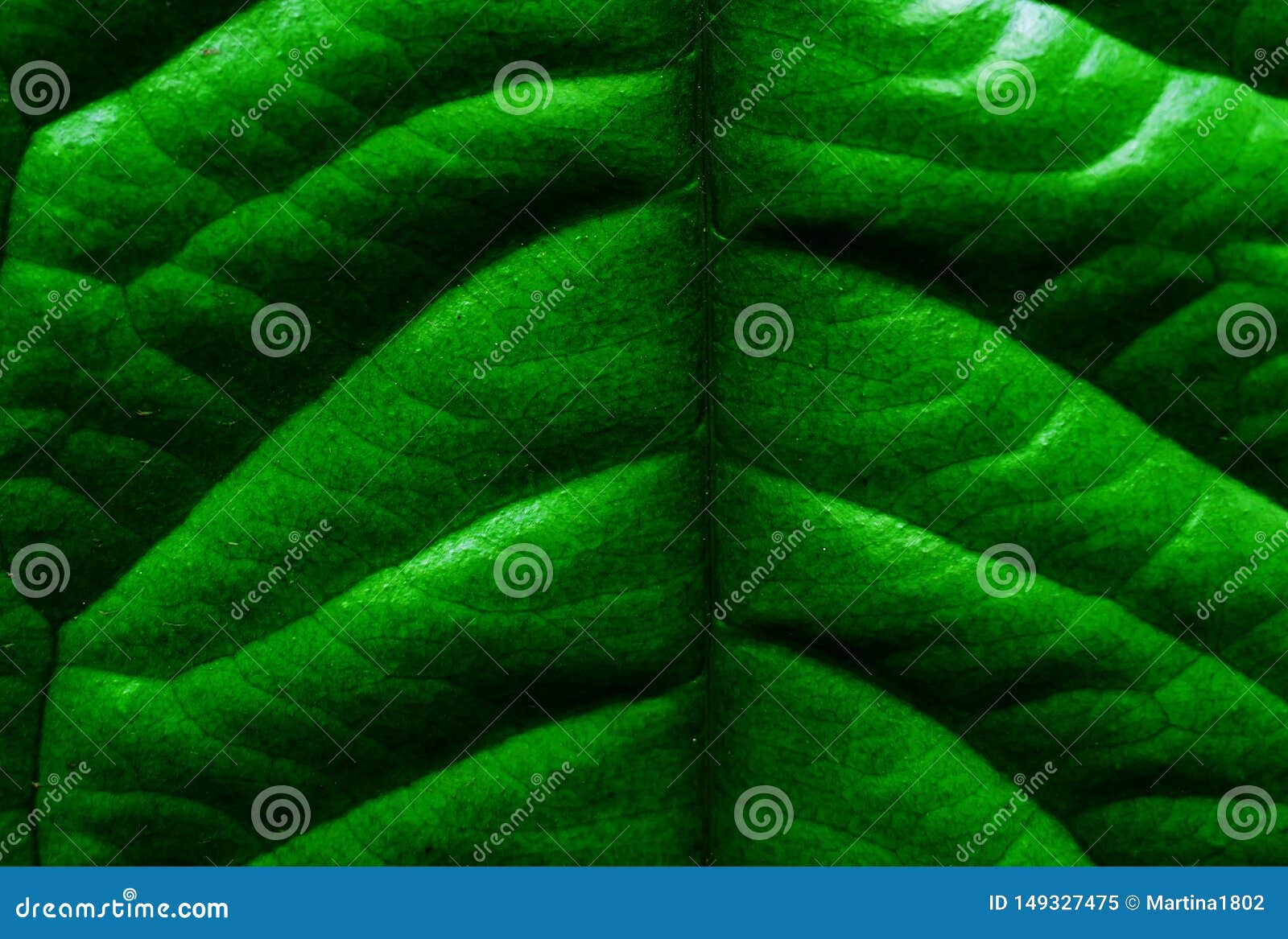 Tropical leaf texture stock image. Image of design, texture - 149327475