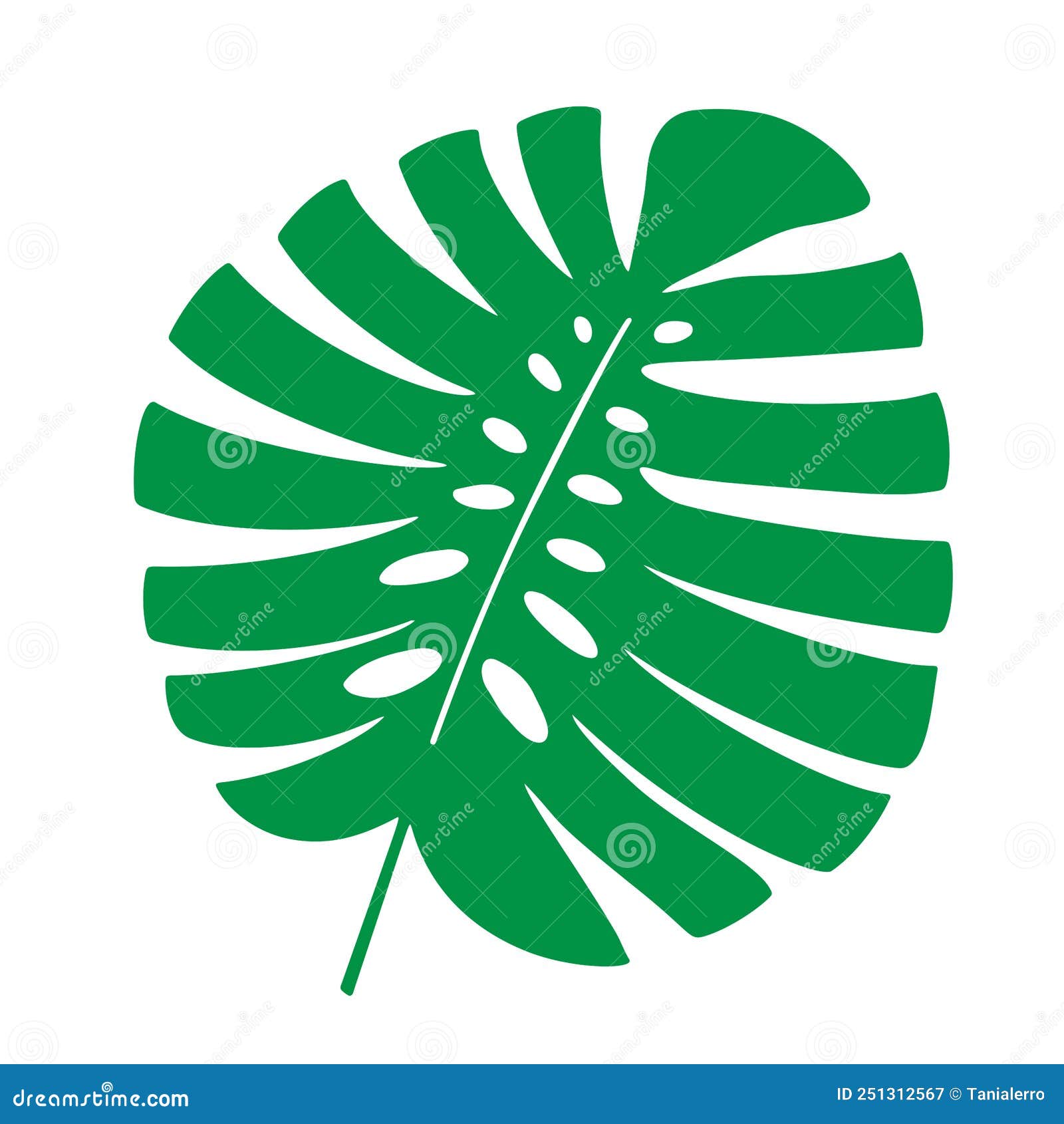 Tropical Leaf Vector Illustration on White Background Stock Vector ...