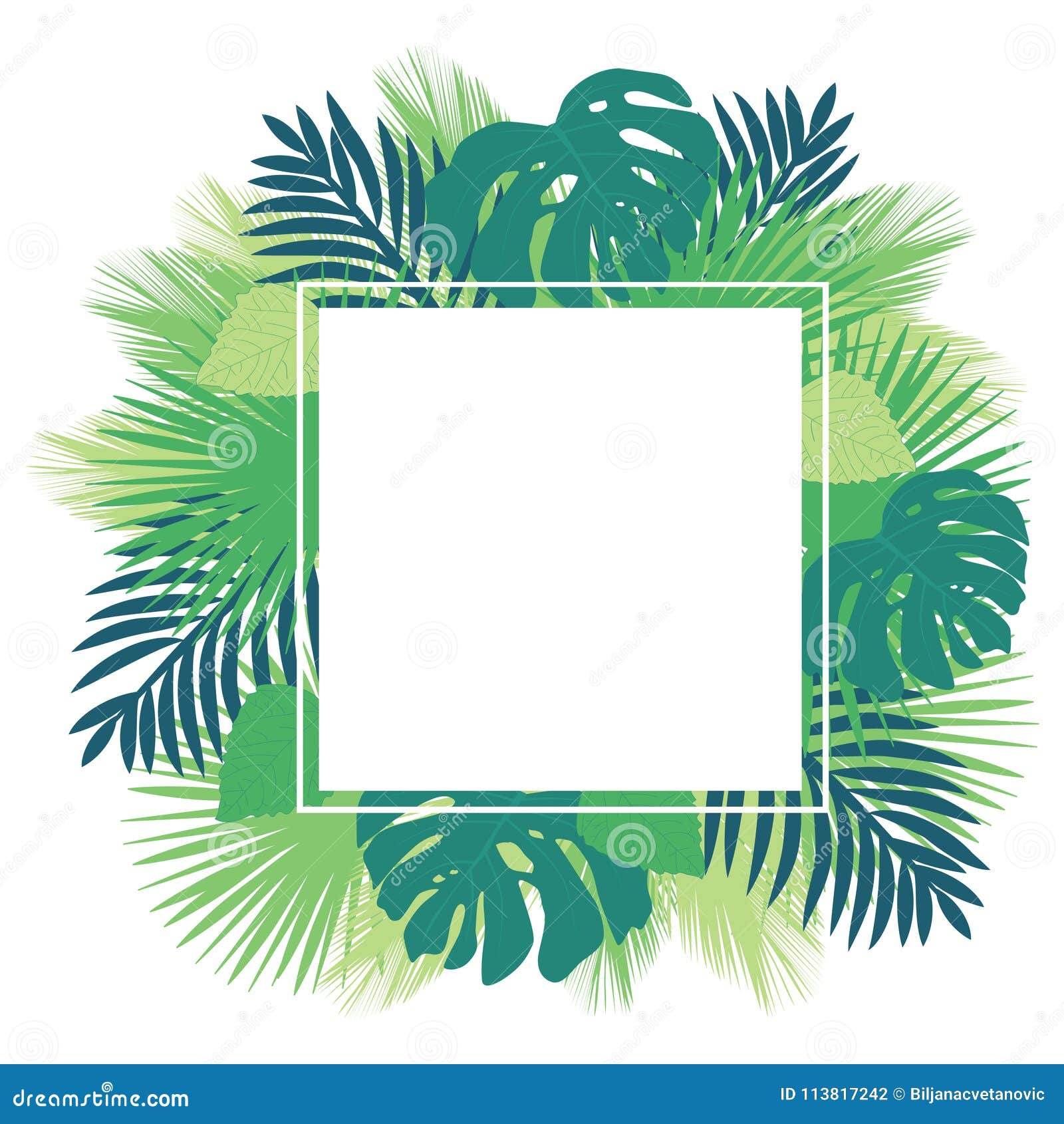 Tropical leafs logo frame stock vector. Illustration of drawing - 113817242