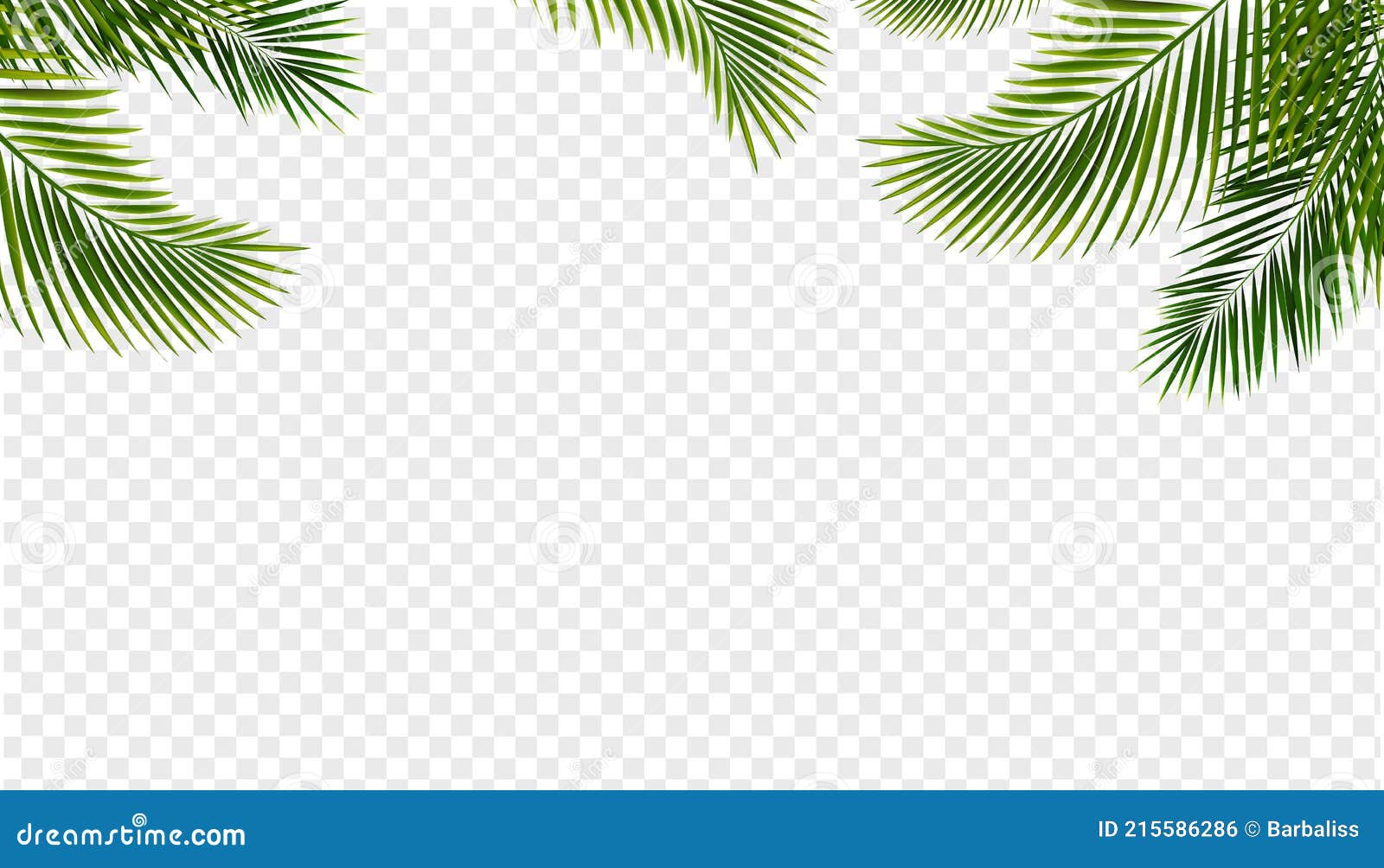 Tropical Leaves Border Isolated Transparent Background Stock Vector ...