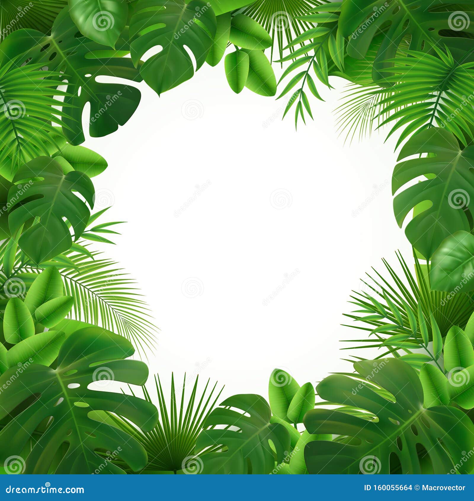Tropical Leaves Frame Composition Stock Vector - Illustration of exotic ...