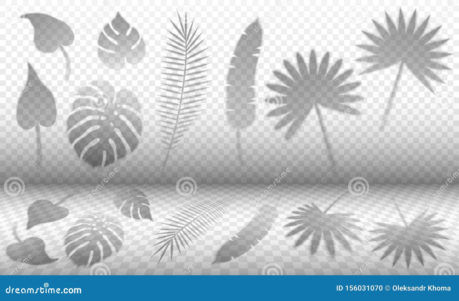 Tropical Leaves Shadow Overlay Templates, a Vector Set of Various ...