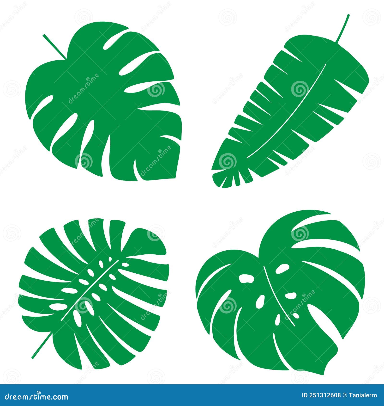 Tropical Leaves Vector Collection on the White Background Stock Vector ...