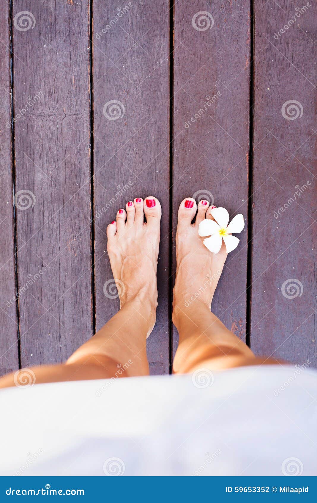 Tropical legs stock photo. Image of fashion, selfi, floor - 59653352