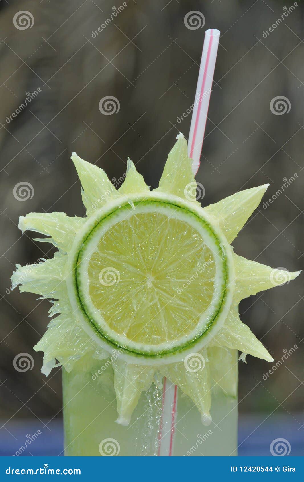 Tropical lemon sun stock photo. Image of alcoolic, glass - 12420544