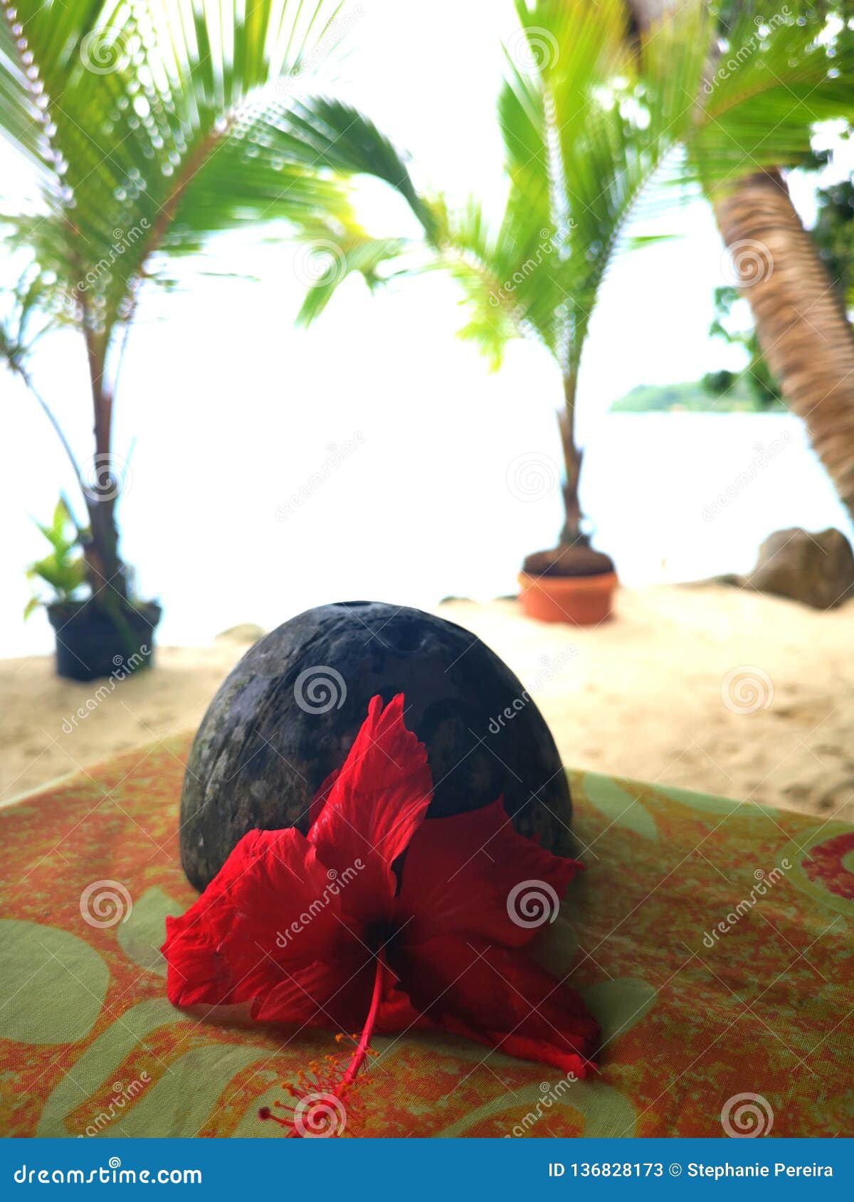 Tropical life stock image. Image of polynesia, life - 136828173