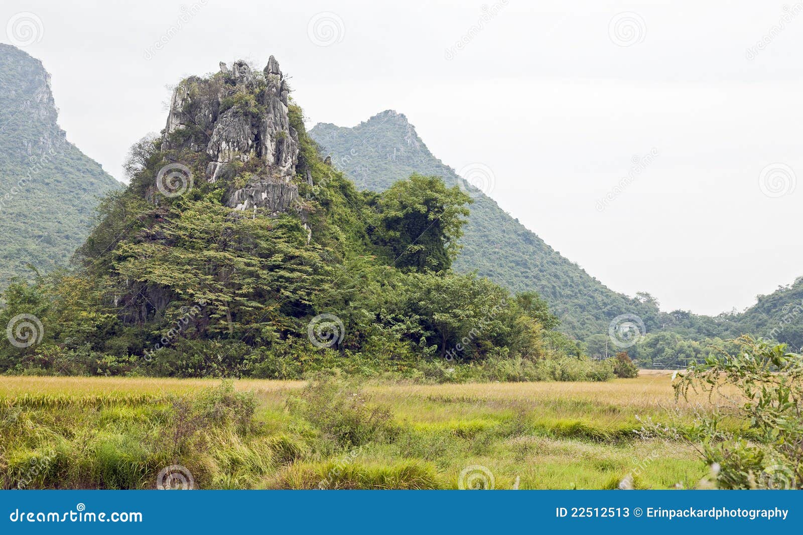 Tropical limestone karst stock image. Image of guilin - 22512513