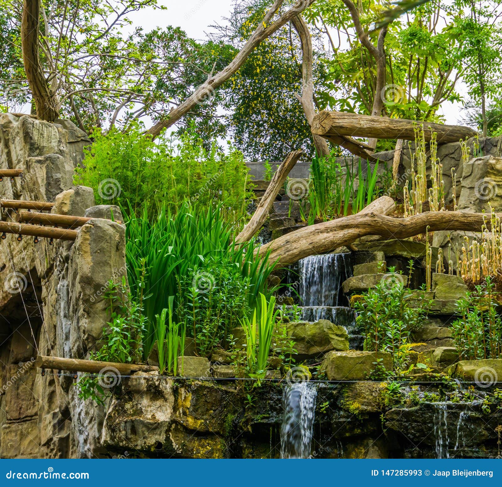 Tropical Looking Waterfall with Many Plants, Exotic Garden Architecture ...