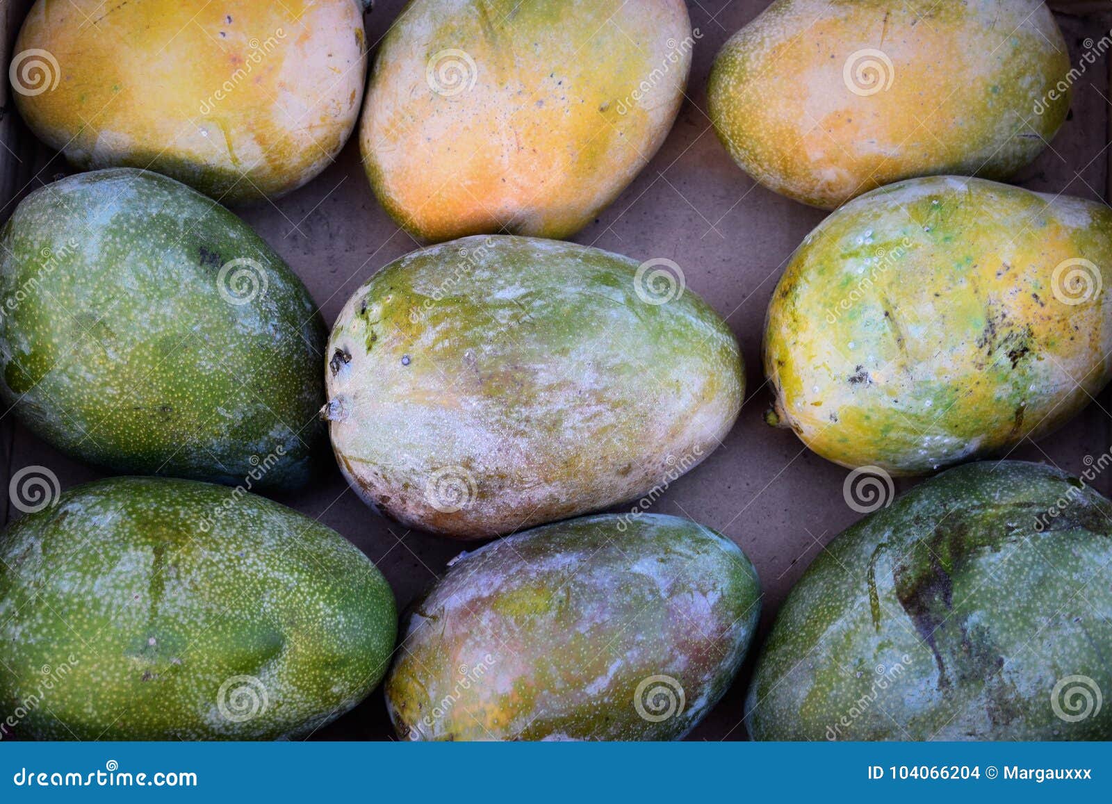 Tropical Mango Fruit in a Box. Stock Photo - Image of tropical, mango ...