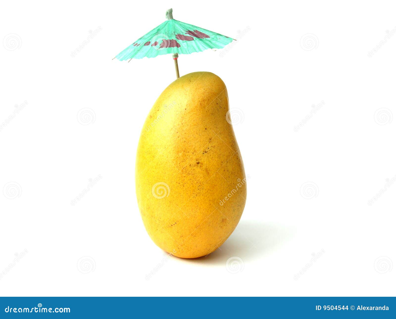 Tropical Mango and parasol stock photo. Image of background - 9504544