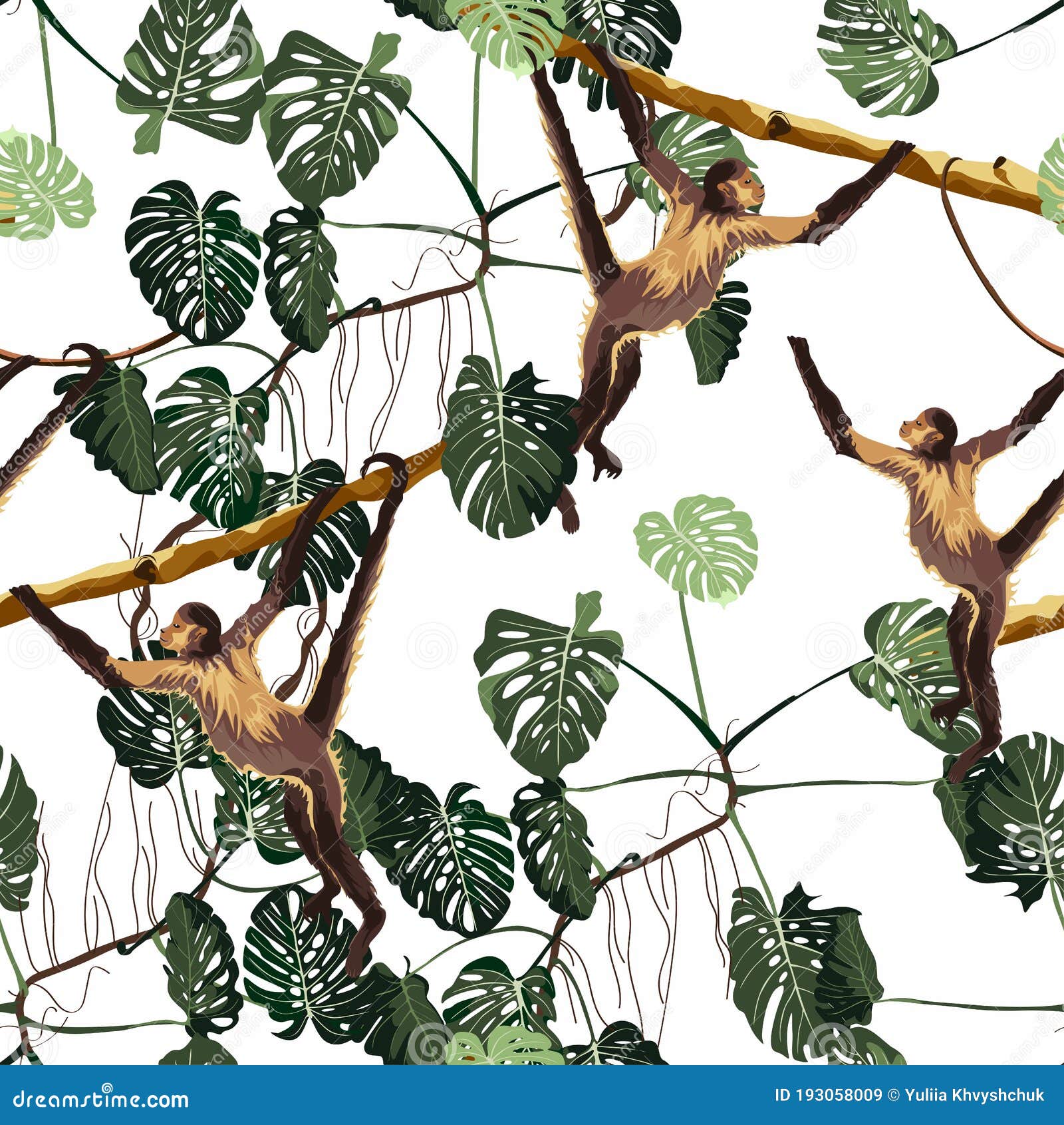 Monkey Jungle Background