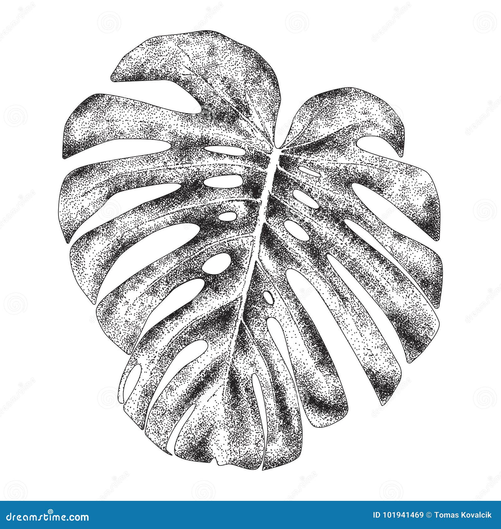 Tropical Monstera Leaf, Hand Draw Design Stock Vector - Illustration of ...