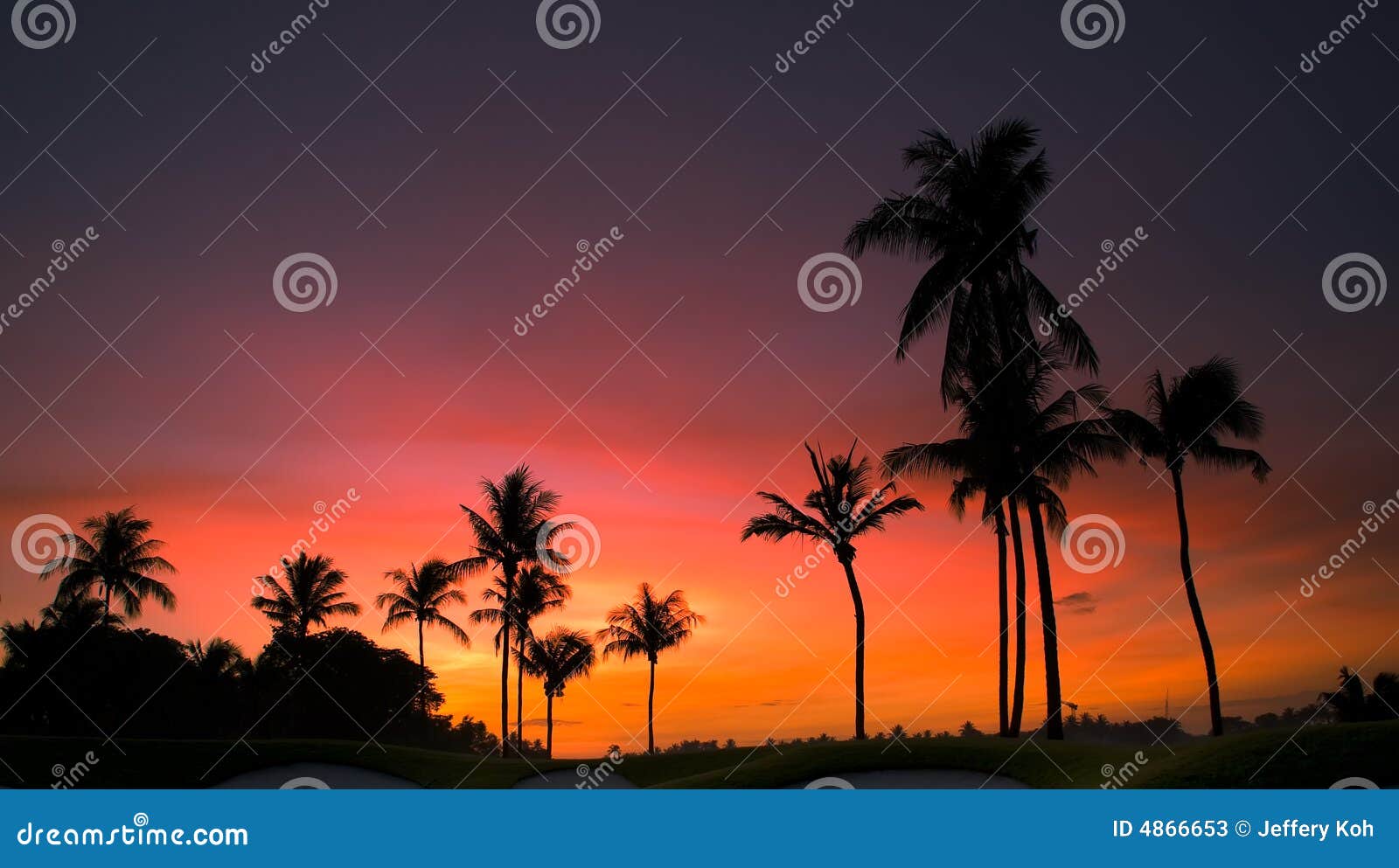 Tropical Morning stock image. Image of stratus, maroon - 4866653