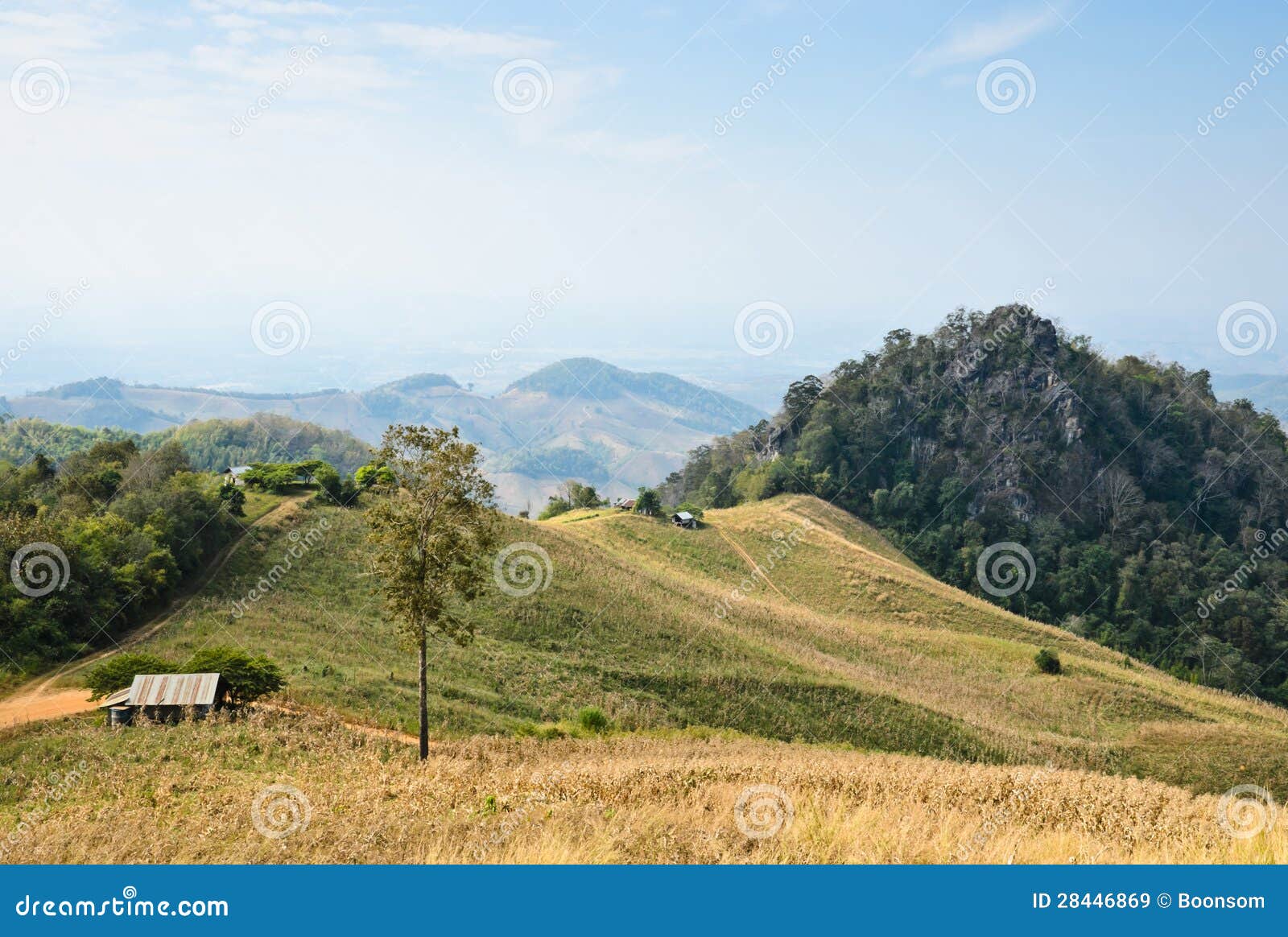 Tropical Mountain Landscape Stock Image - Image of scenic, bright: 28446869